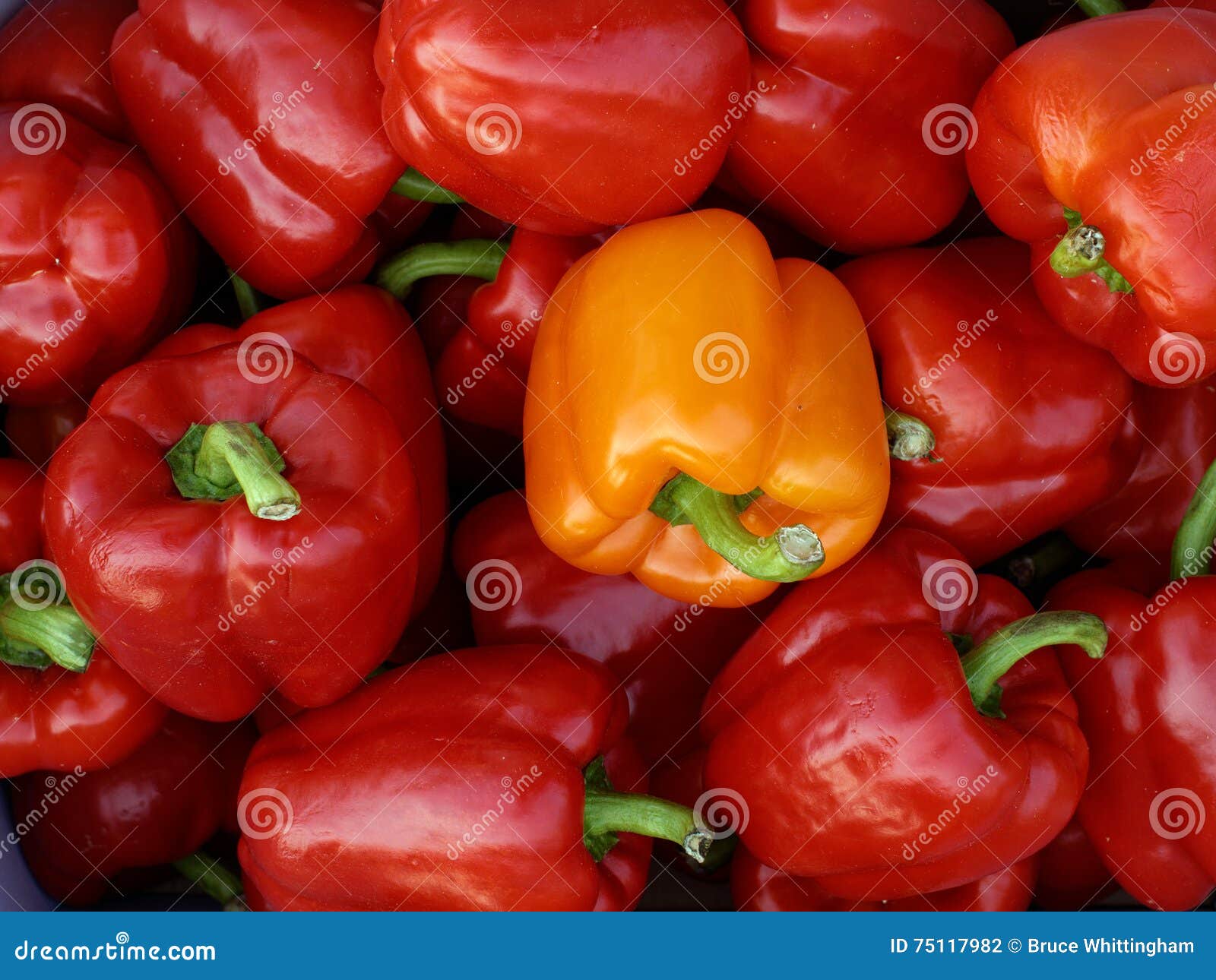 Fresh Orange Capsicum stock photo. Image of fresh, orange - 75117982