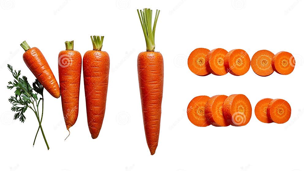 A Single Carrot Captured from Multiple Angles on a White Background ...