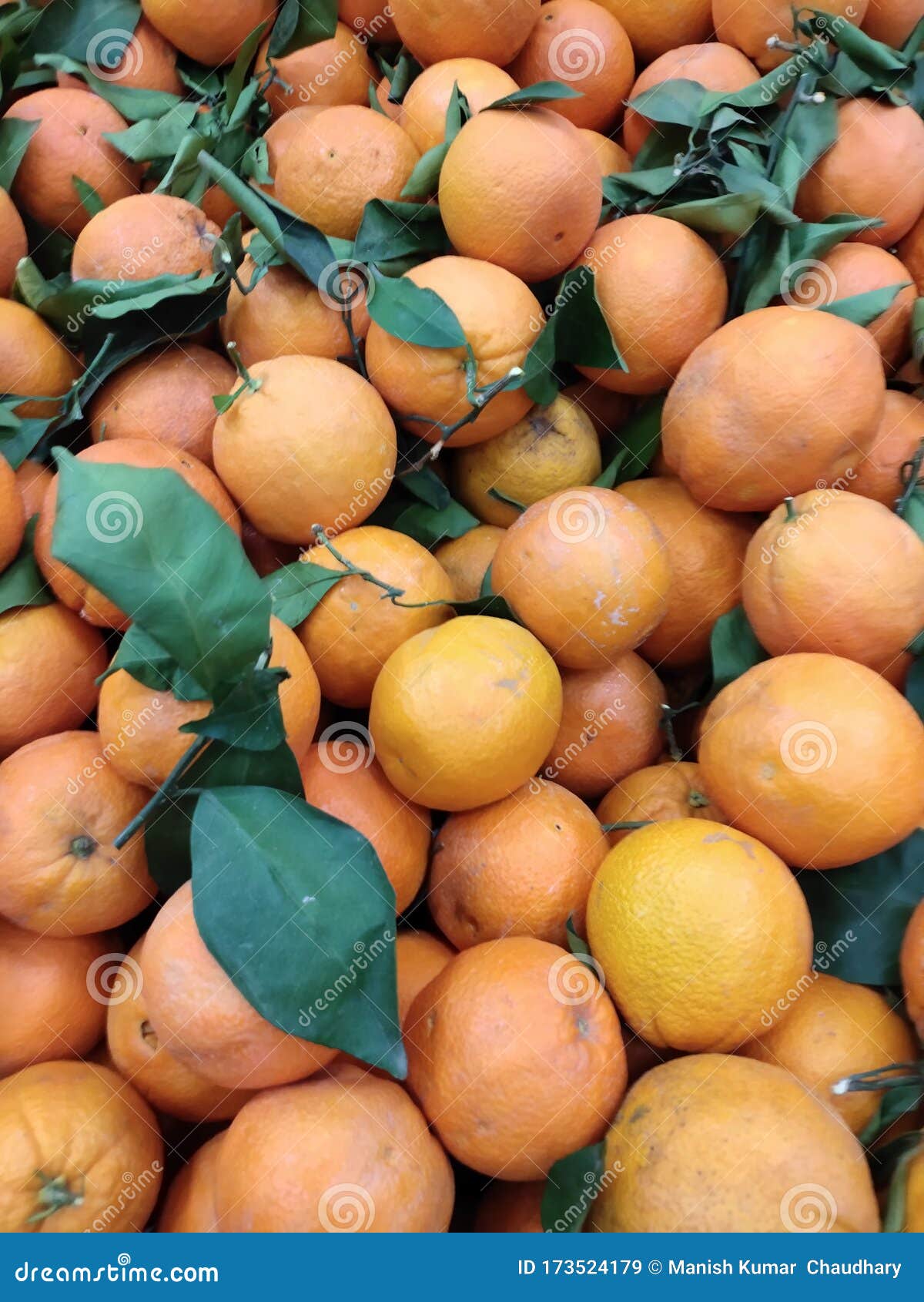 Fresh Orange Display at the Supermarket Stock Image - Image of display ...