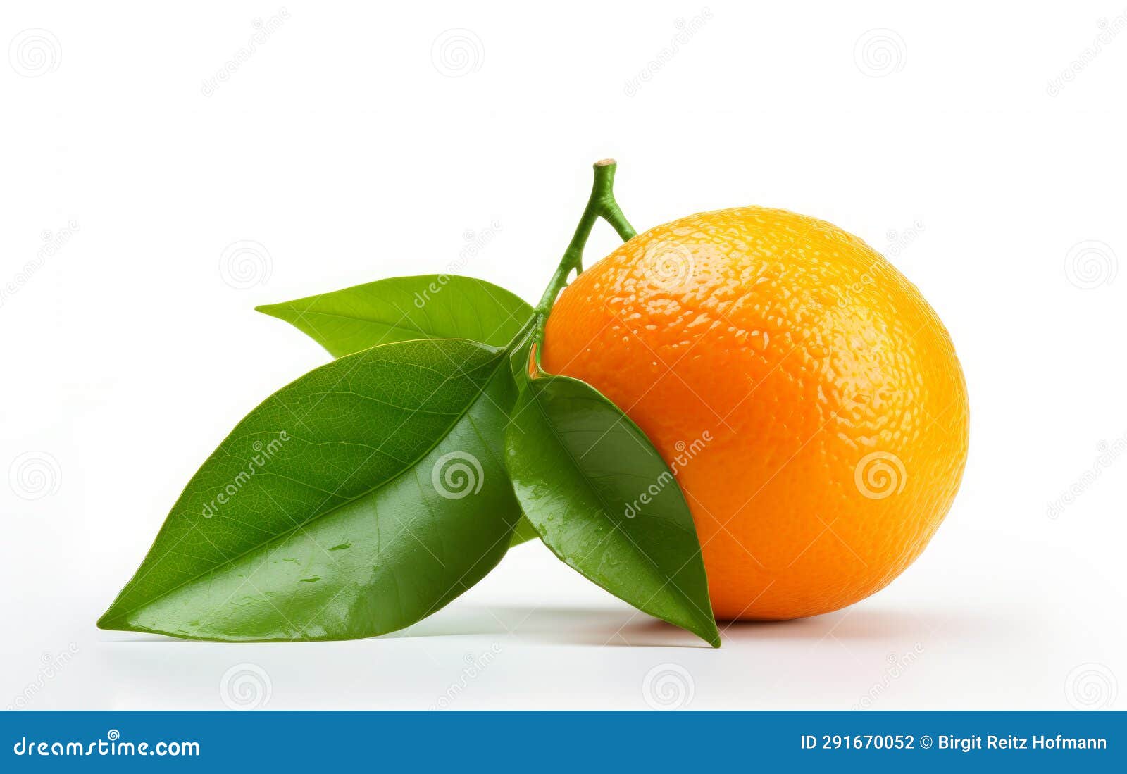 Fresh Orange Fruit with Green Leaf Stock Illustration - Illustration of ...