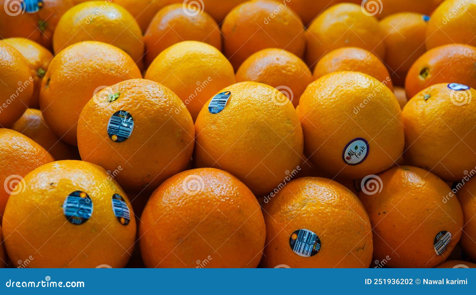 Fresh Orange in Fruit Stall Editorial Photography - Image of plant ...