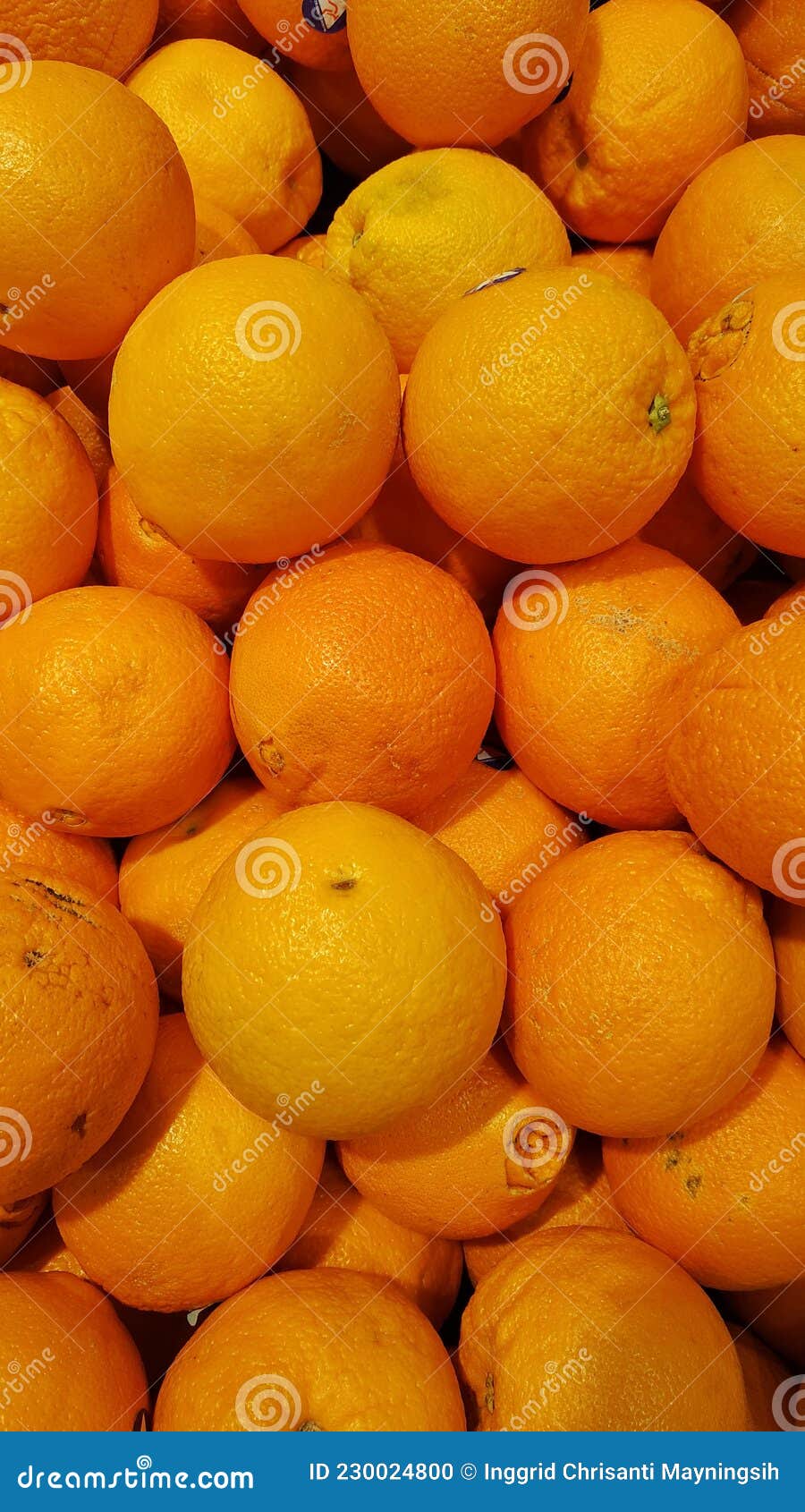 A Fresh Orange in the Grocery Stock Photo - Image of plant, grocery ...