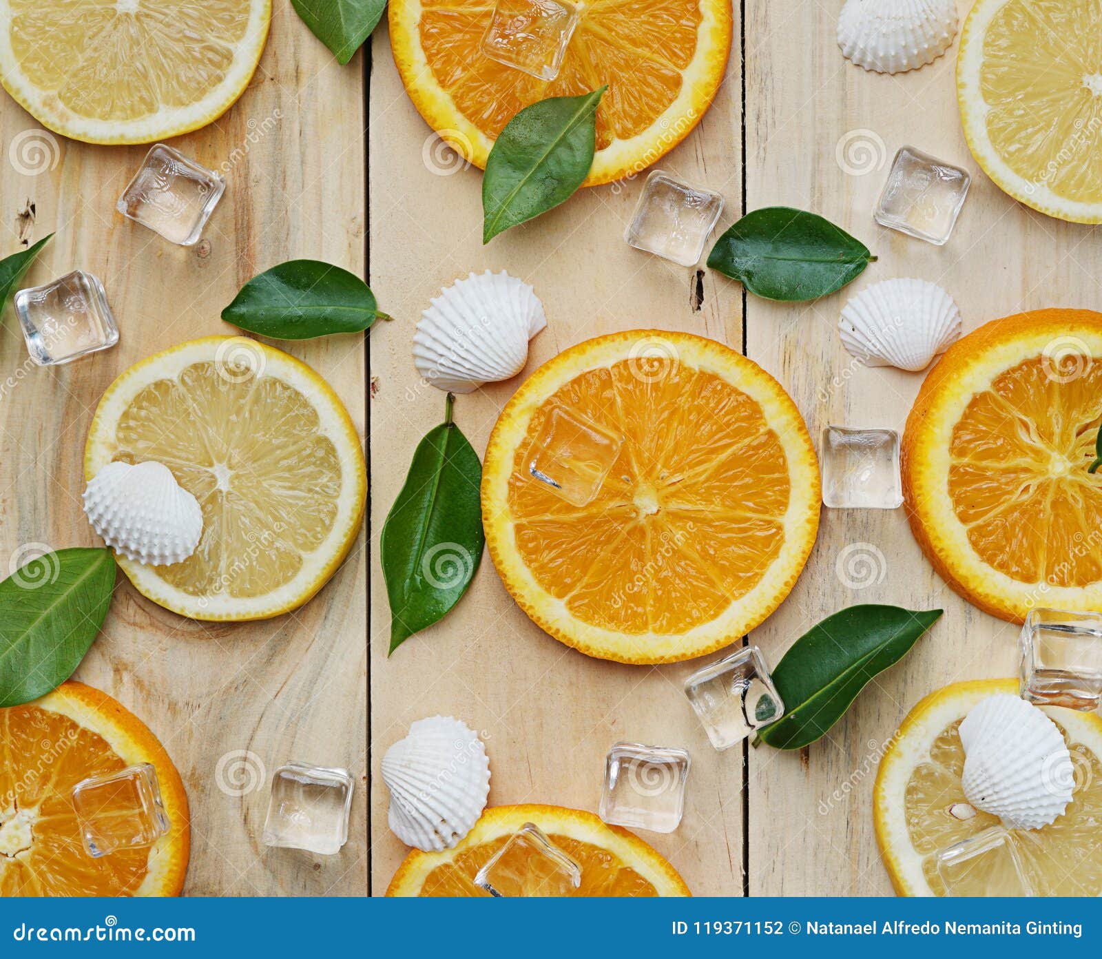 Fresh Orange Lemon Sea Shells Leaves Cube Ice Summer Background Stock ...