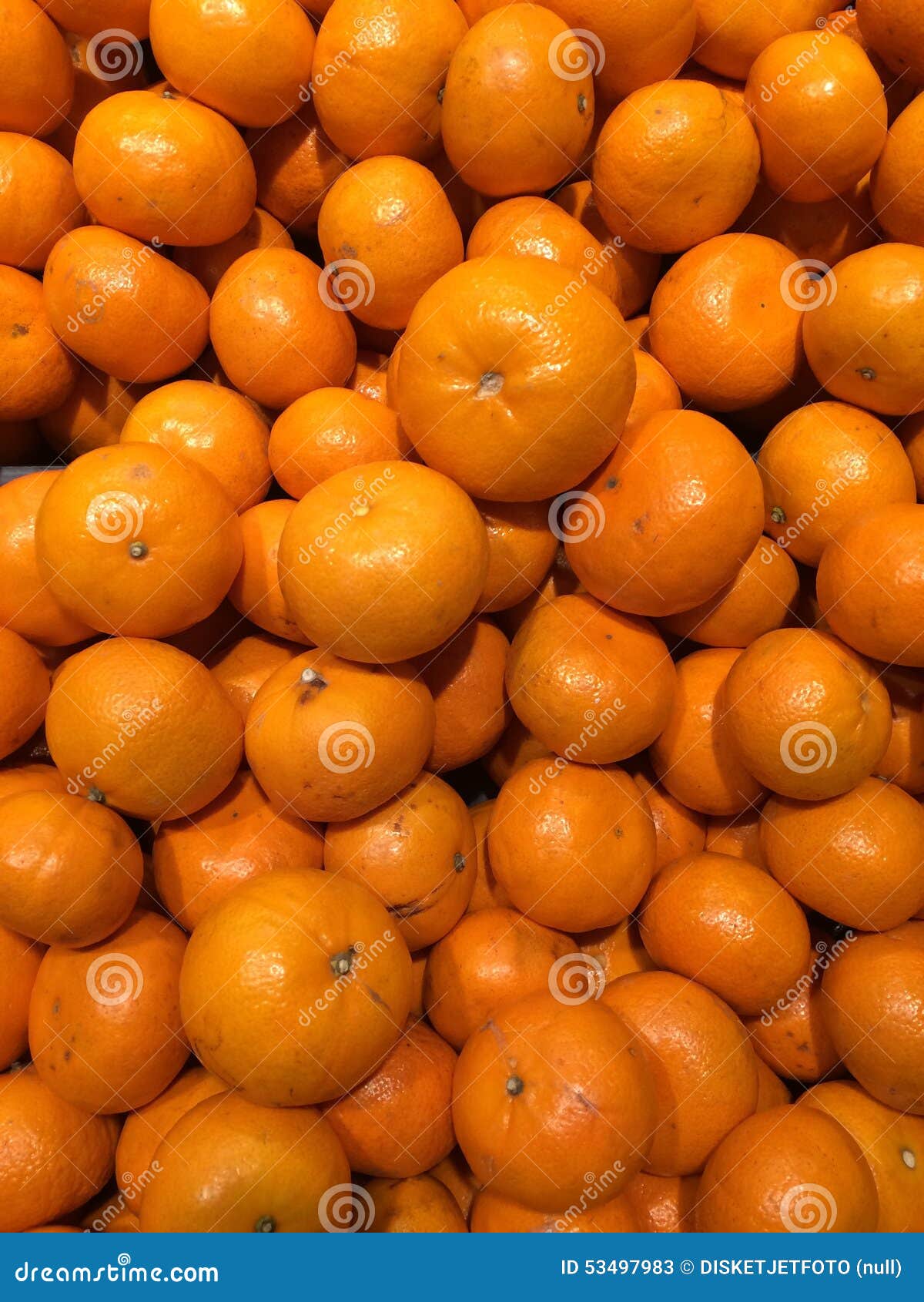 Fresh orange editorial stock photo. Image of orange, nature - 53497983