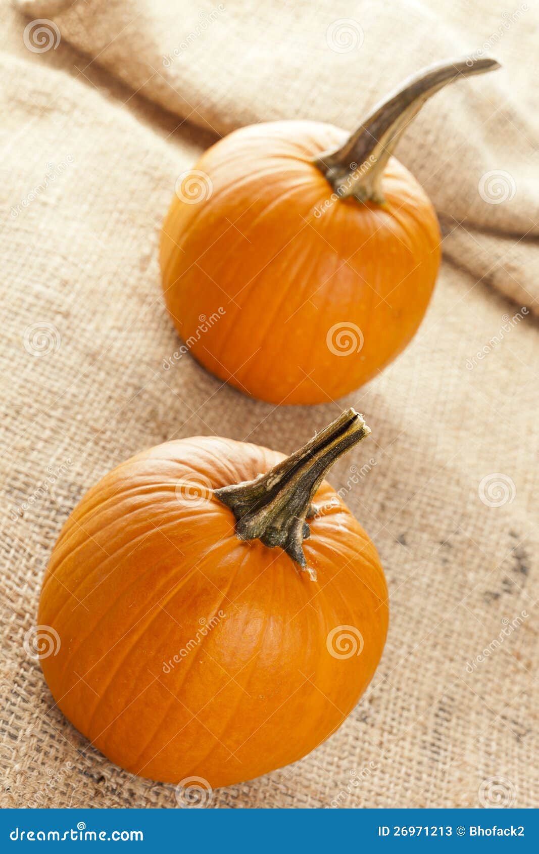 Fresh Orange Organic Pumpkin Stock Image - Image of food, halloween ...