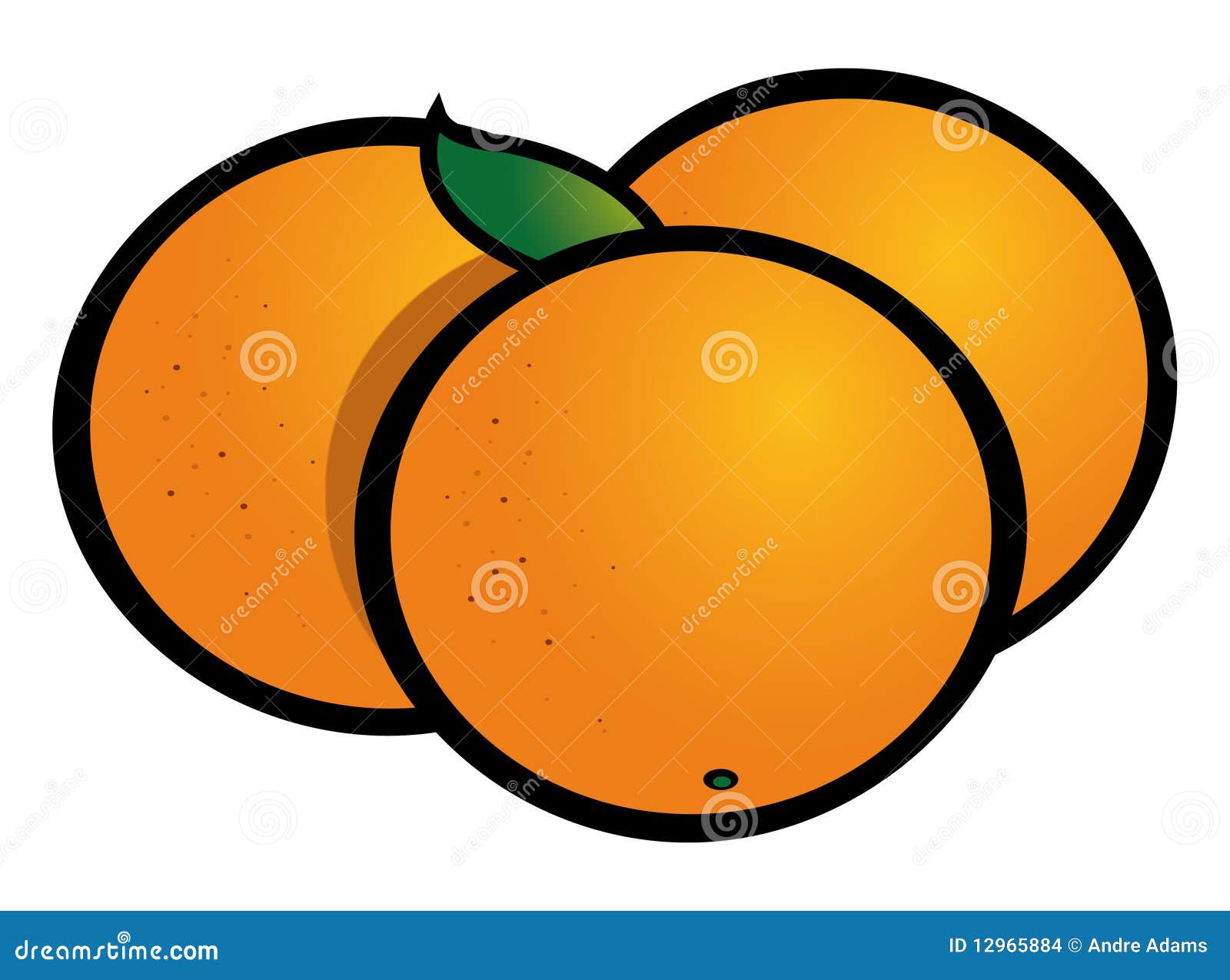 Fresh Oranges Cartoon Vector | CartoonDealer.com #9644267