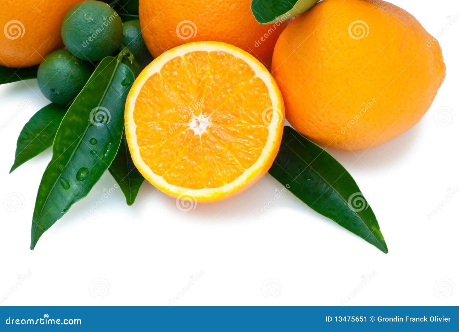 Fresh Oranges stock image. Image of oranges, juicy, fruit - 13475651