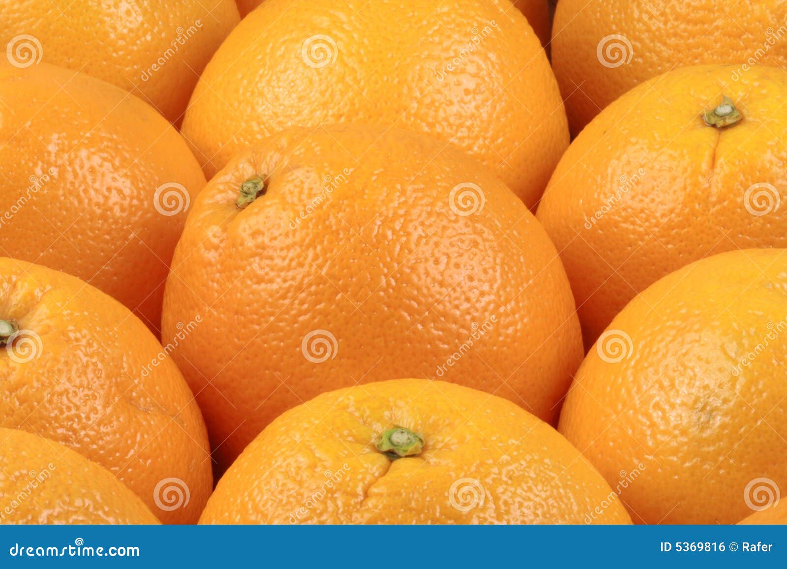 Fresh oranges stock photo. Image of eating, health, yellow - 5369816