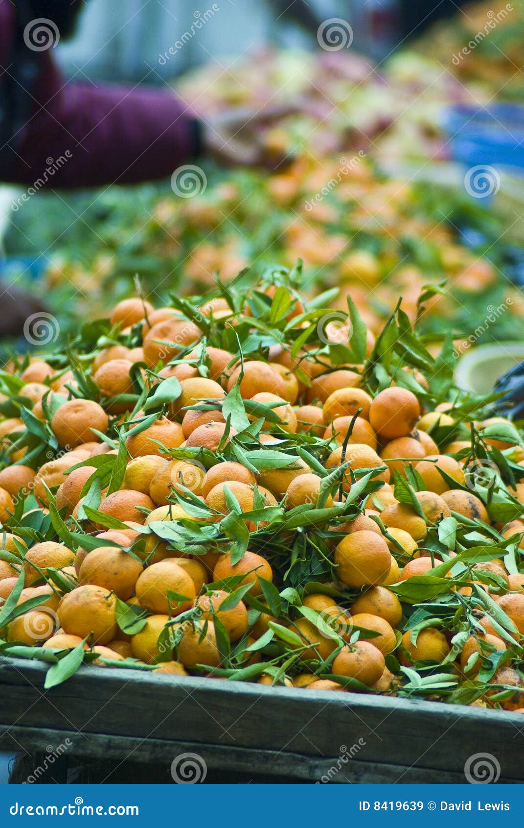 Fresh oranges at market stock image. Image of arranged - 8419639