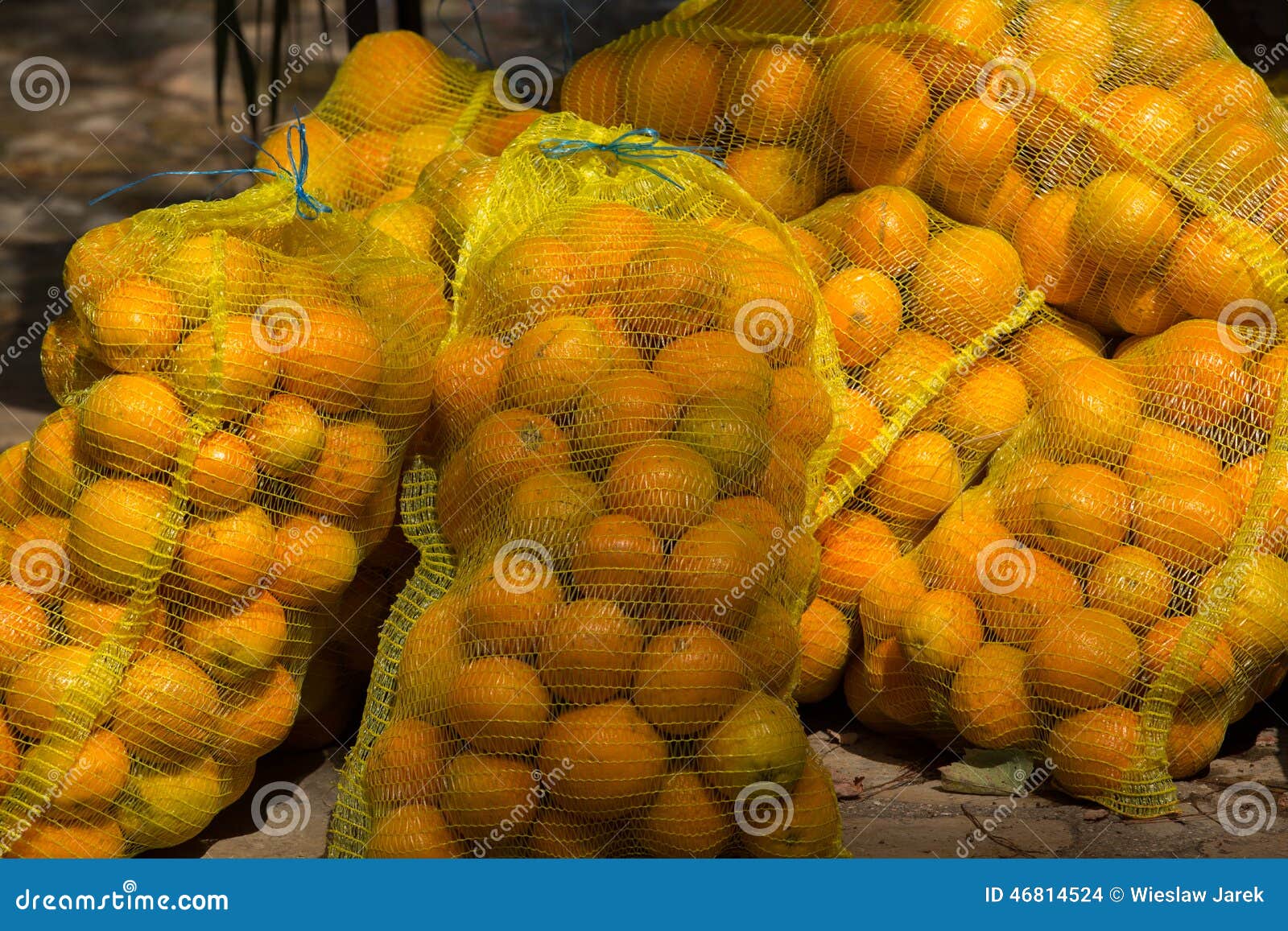 Fresh oranges stock photo. Image of market, healthy, produce - 46814524