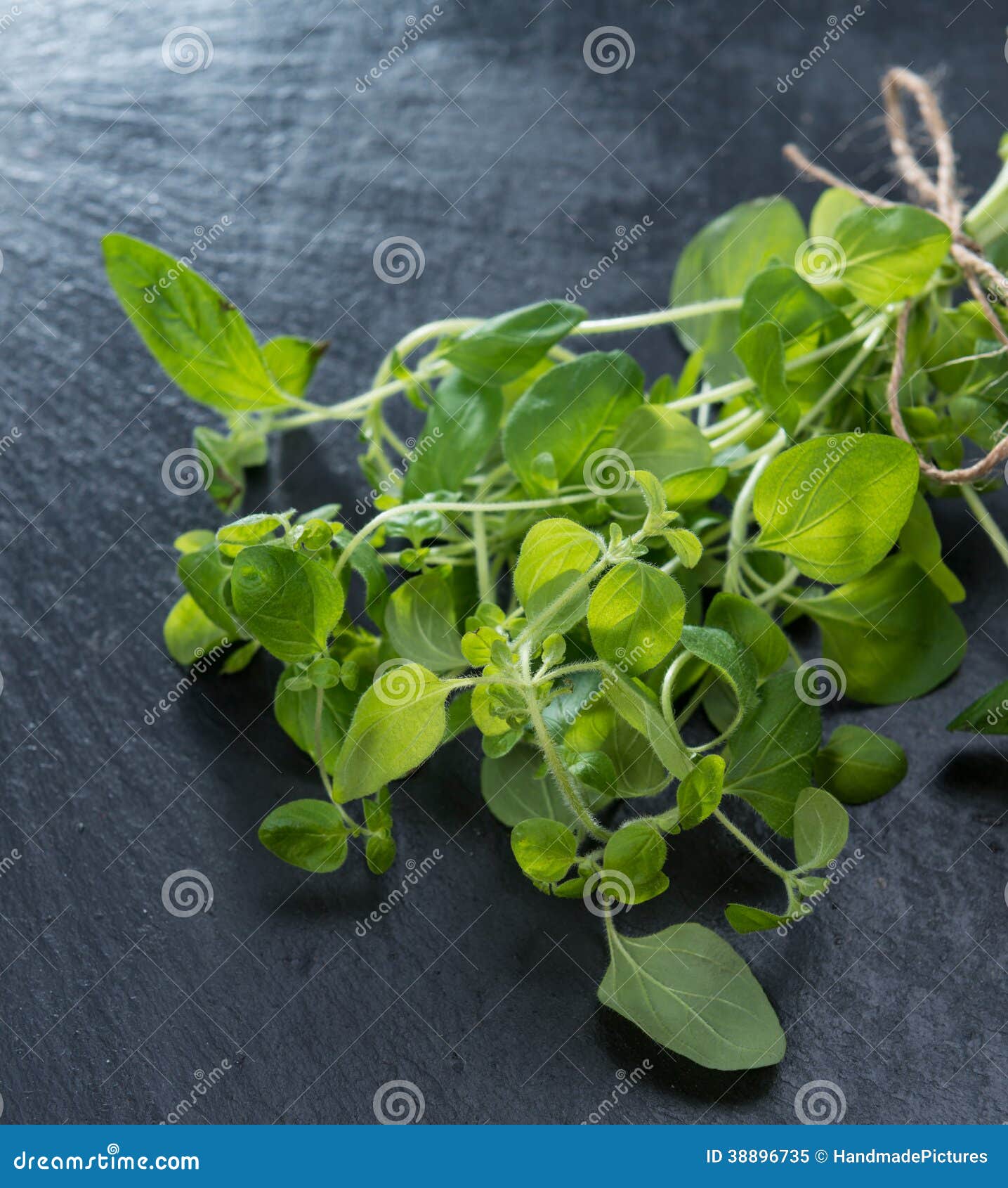 Fresh Oregano on Dark Background Stock Image - Image of culinary ...