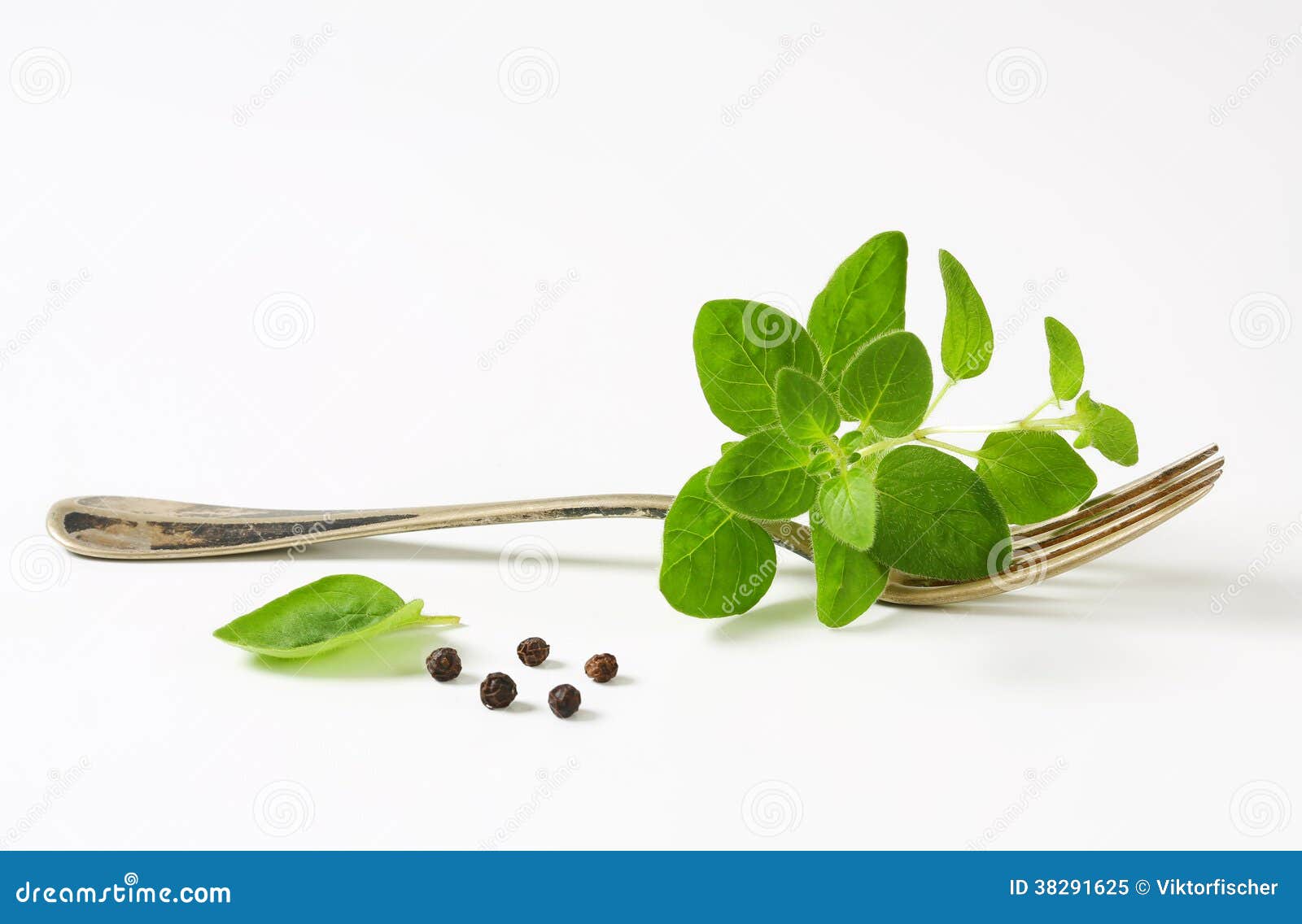 Fresh Oregano Sprigs on Fork Stock Image - Image of organic, background ...