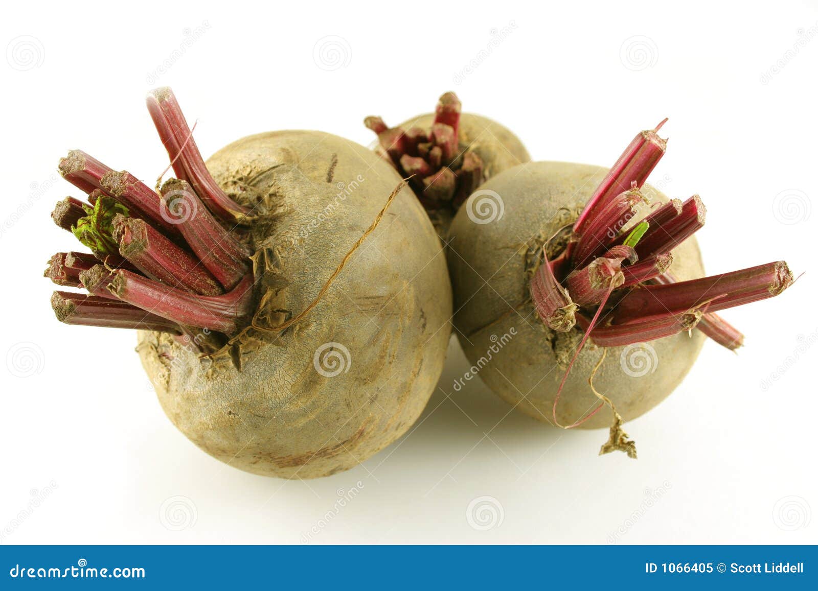 Fresh Organic Beetroot stock image. Image of food, ingredient - 1066405