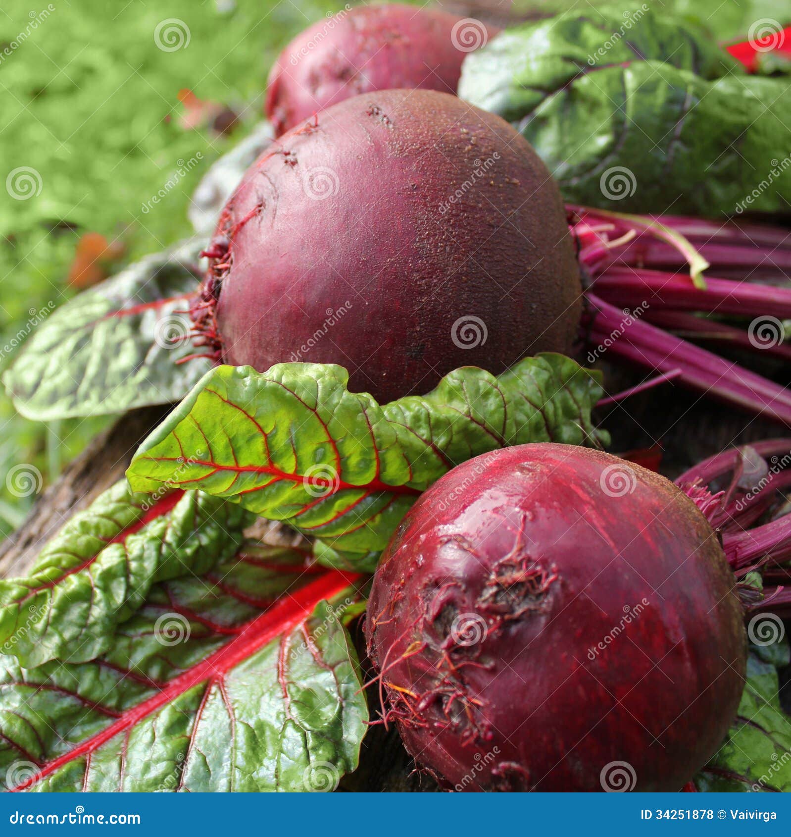 Fresh organic beets stock photo. Image of plant, market - 34251878