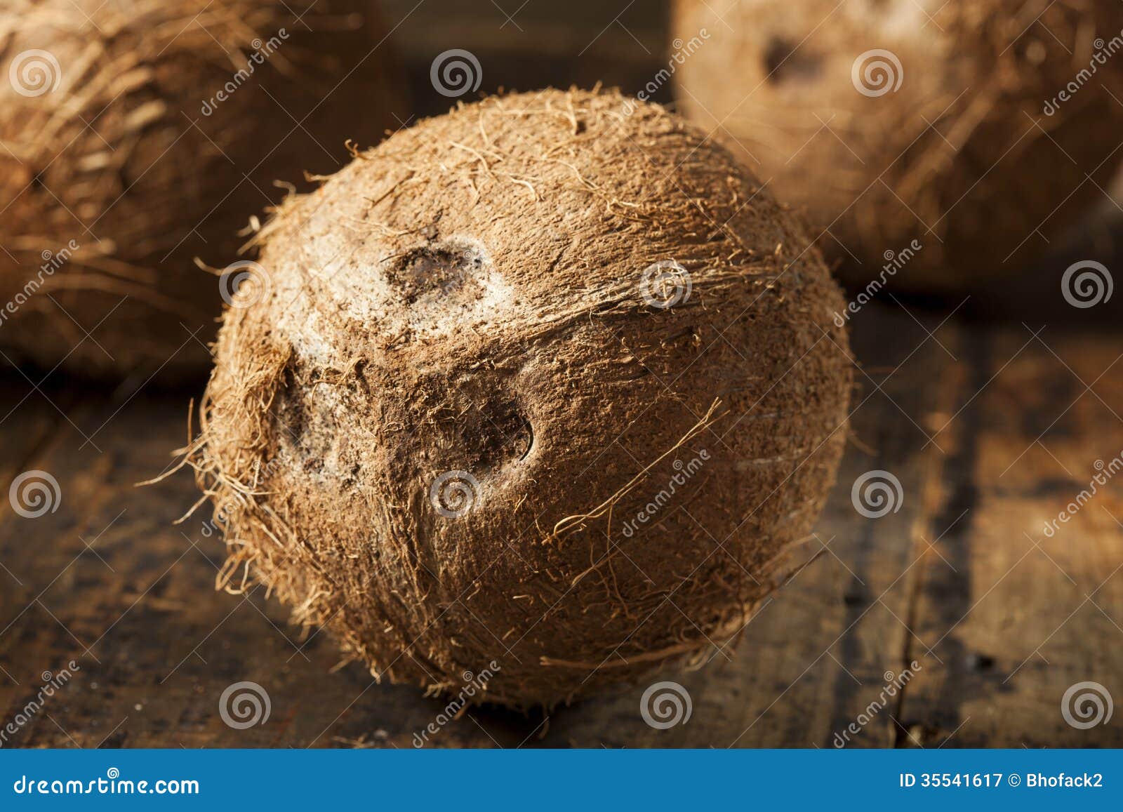 Fresh Organic Brown Coconut Stock Image - Image of break, hairy: 35541617