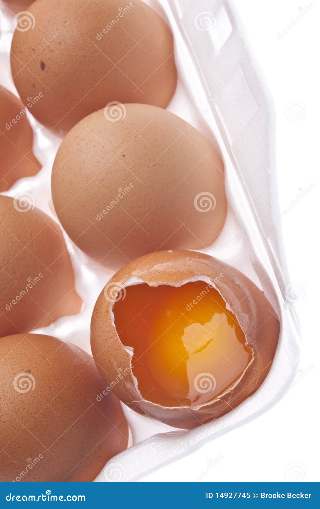 Fresh Organic Brown Eggs Cracked Stock Image - Image of yolk, concept ...