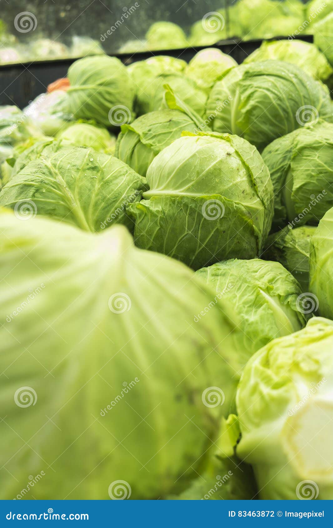 Fresh Organic Cabbage stock photo. Image of round, vegetarian - 83463872