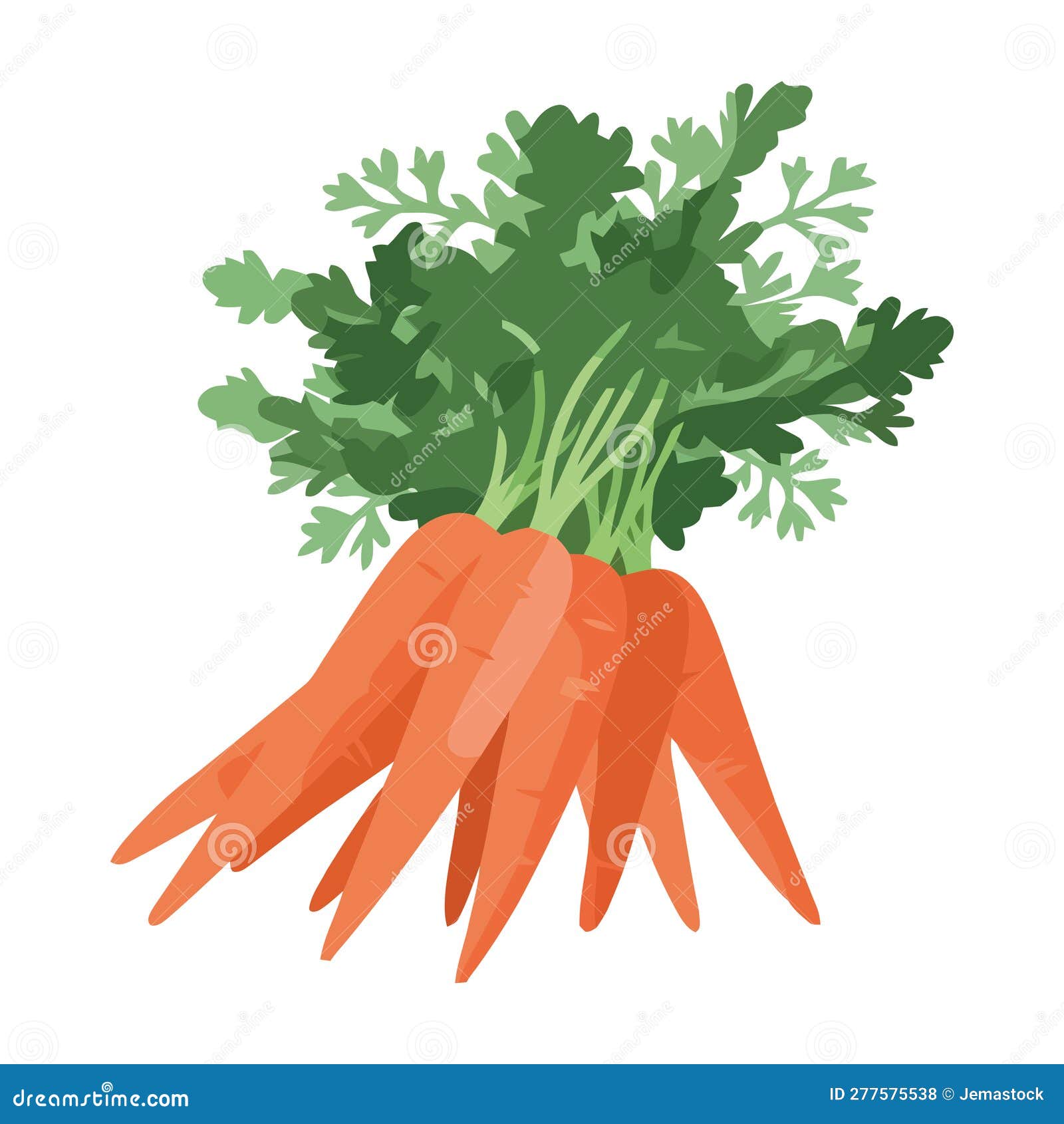 Carrot Root Vegetable Cartoon Illustration | CartoonDealer.com #30217325
