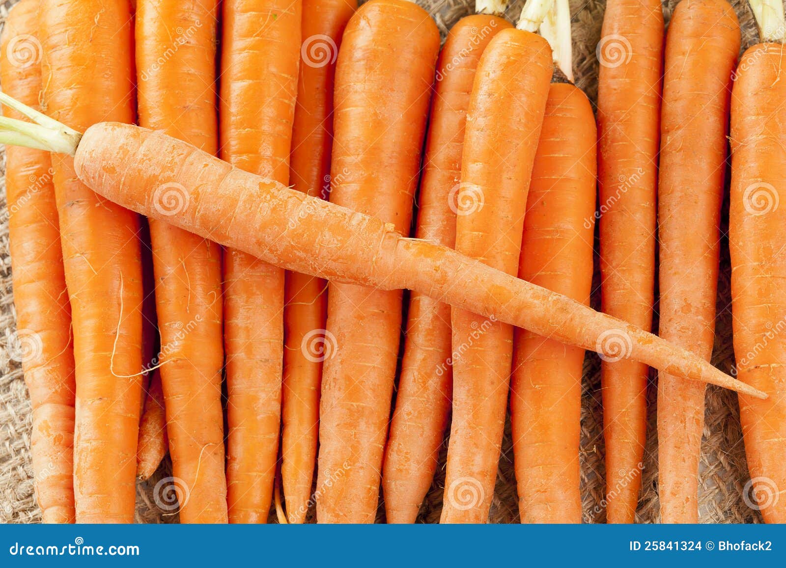 Fresh Organic Carrots stock photo. Image of healthy, bunch - 25841324