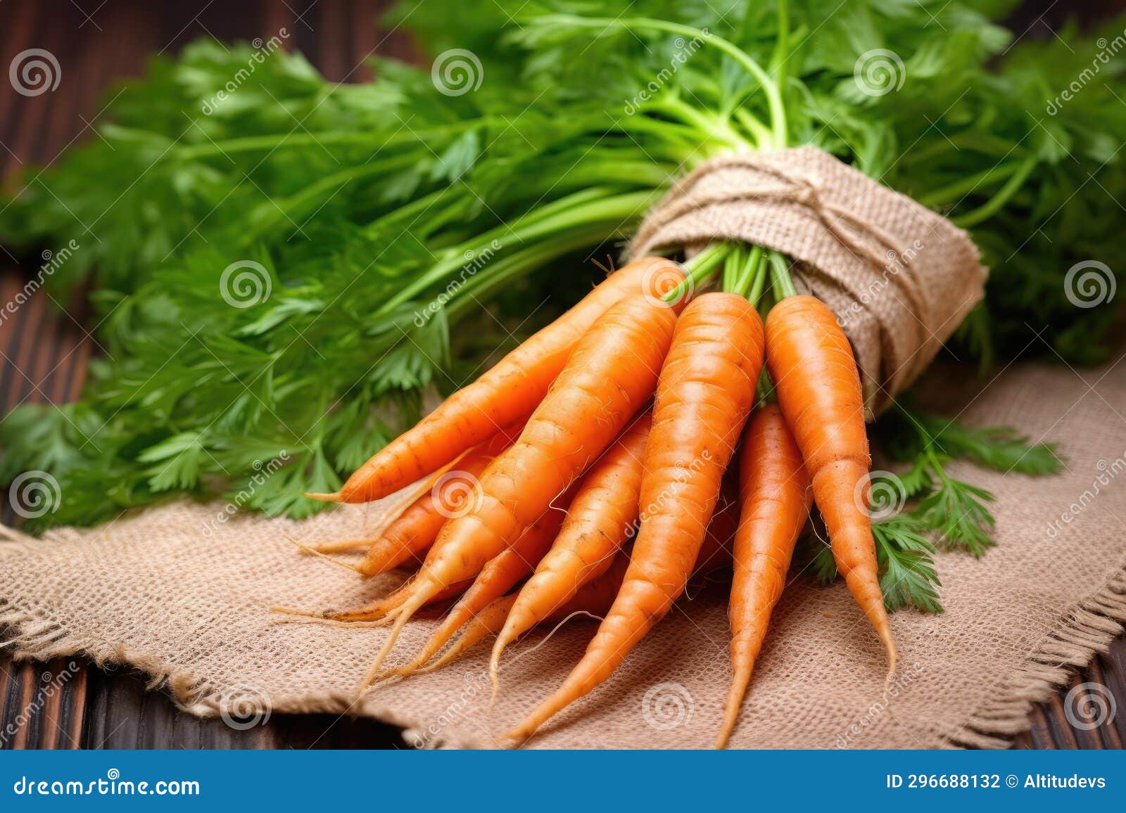 Fresh, Organic Carrots with Leafy Tops on Burlap Stock Photo - Image of ...