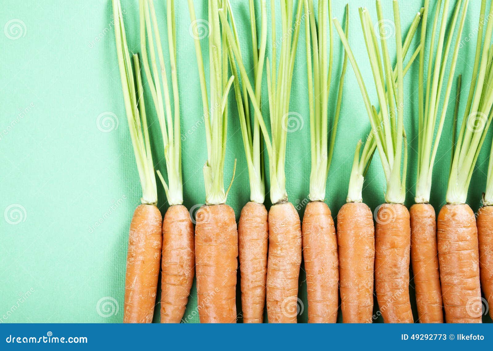 Fresh organic carrots stock image. Image of vitamin, organic - 49292773