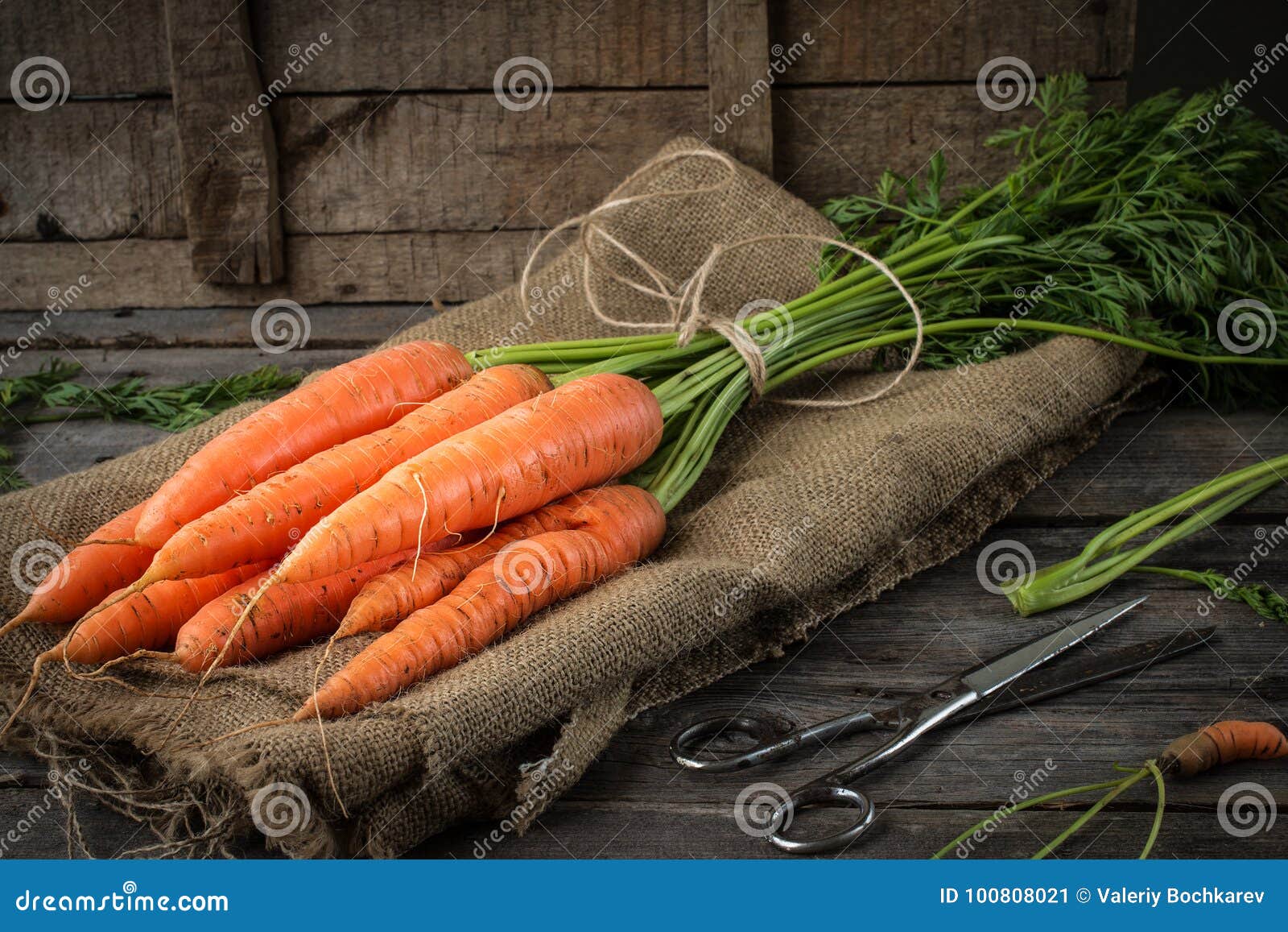 Fresh Organic Carrots on Rustic Table Stock Image - Image of gardening ...