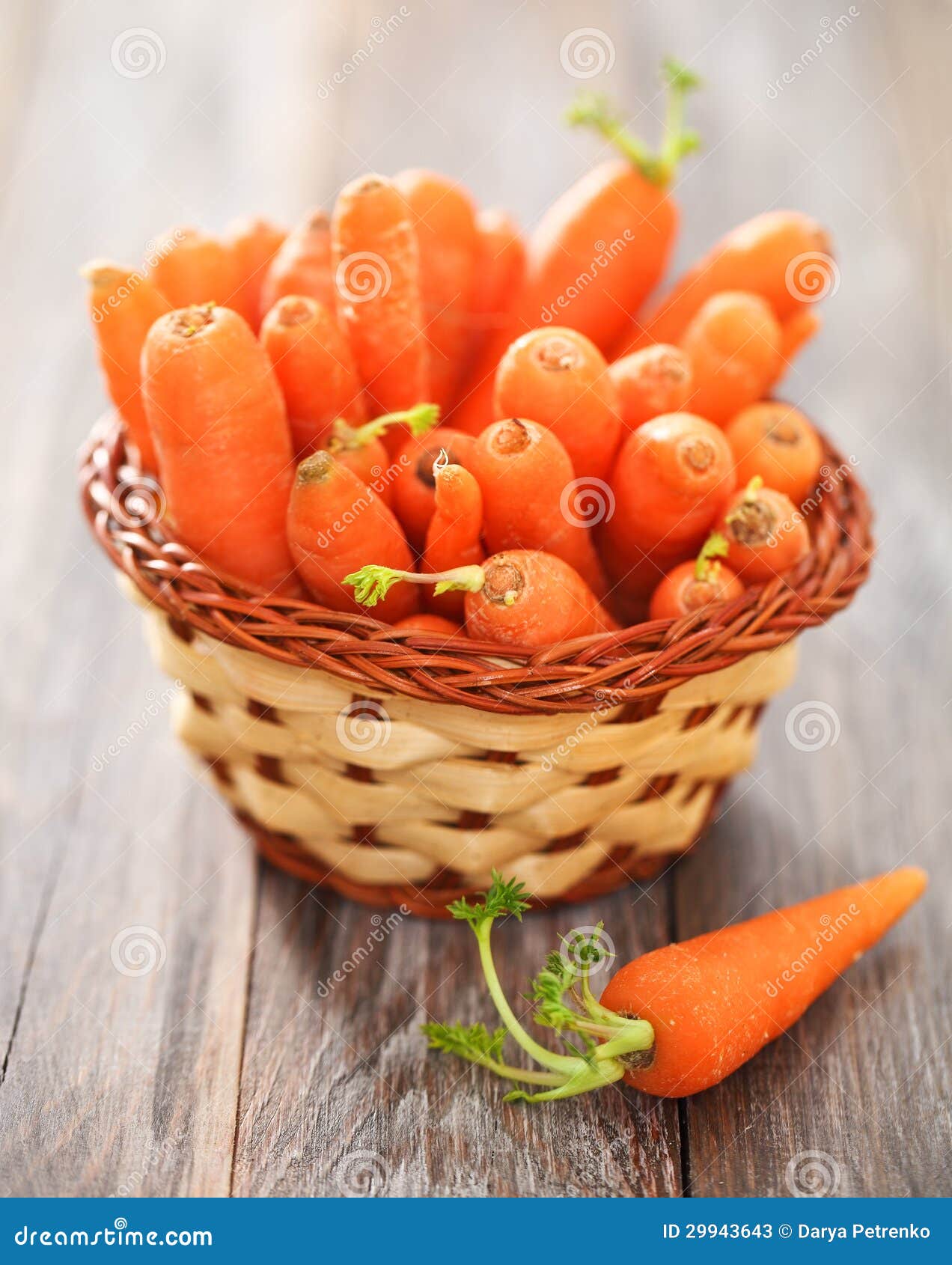 Fresh organic carrots stock image. Image of healthy, summer - 29943643