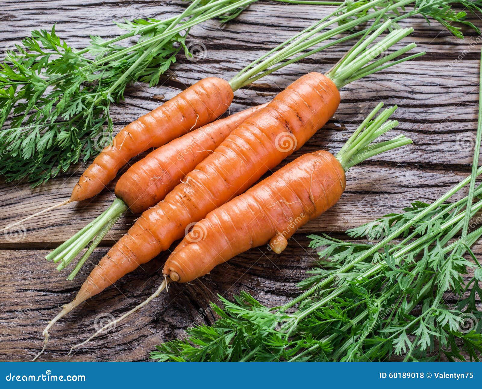 Fresh organic carrots. stock photo. Image of carotene - 60189018