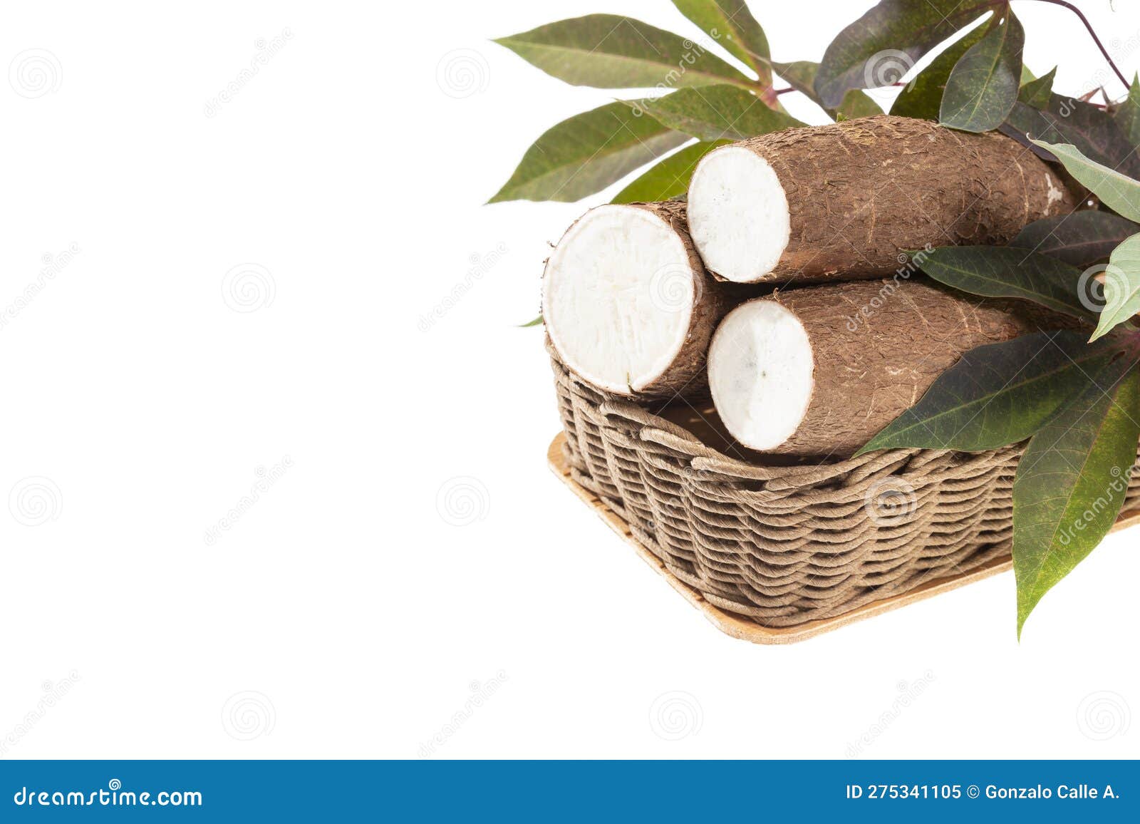 Fresh Organic Cassava Root - Manioc Esculenta on White Background Stock ...
