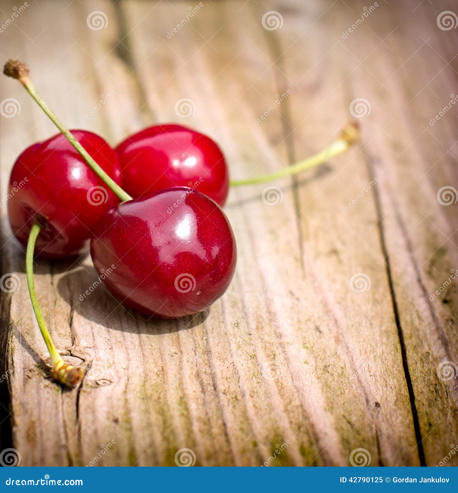 Fresh Organic Cherries Close-up Stock Image - Image of natural, cherry ...