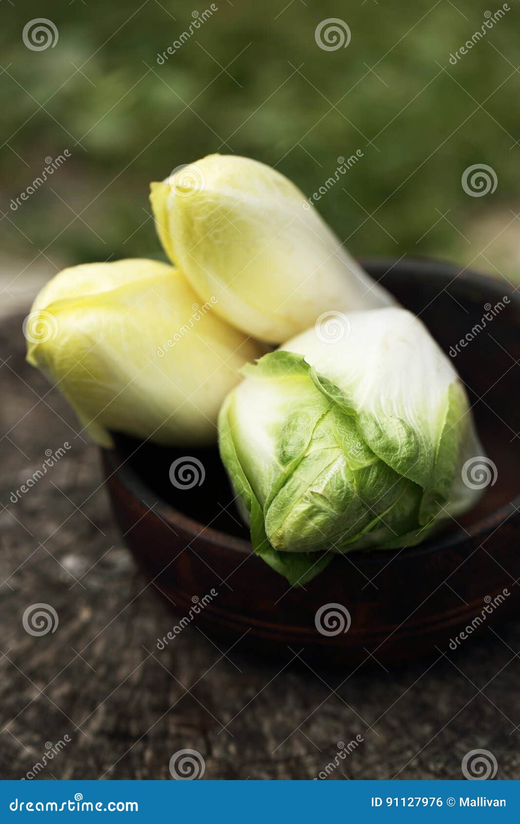 Fresh Organic Chicory Vegetable Stock Photo - Image of delicious, diet ...