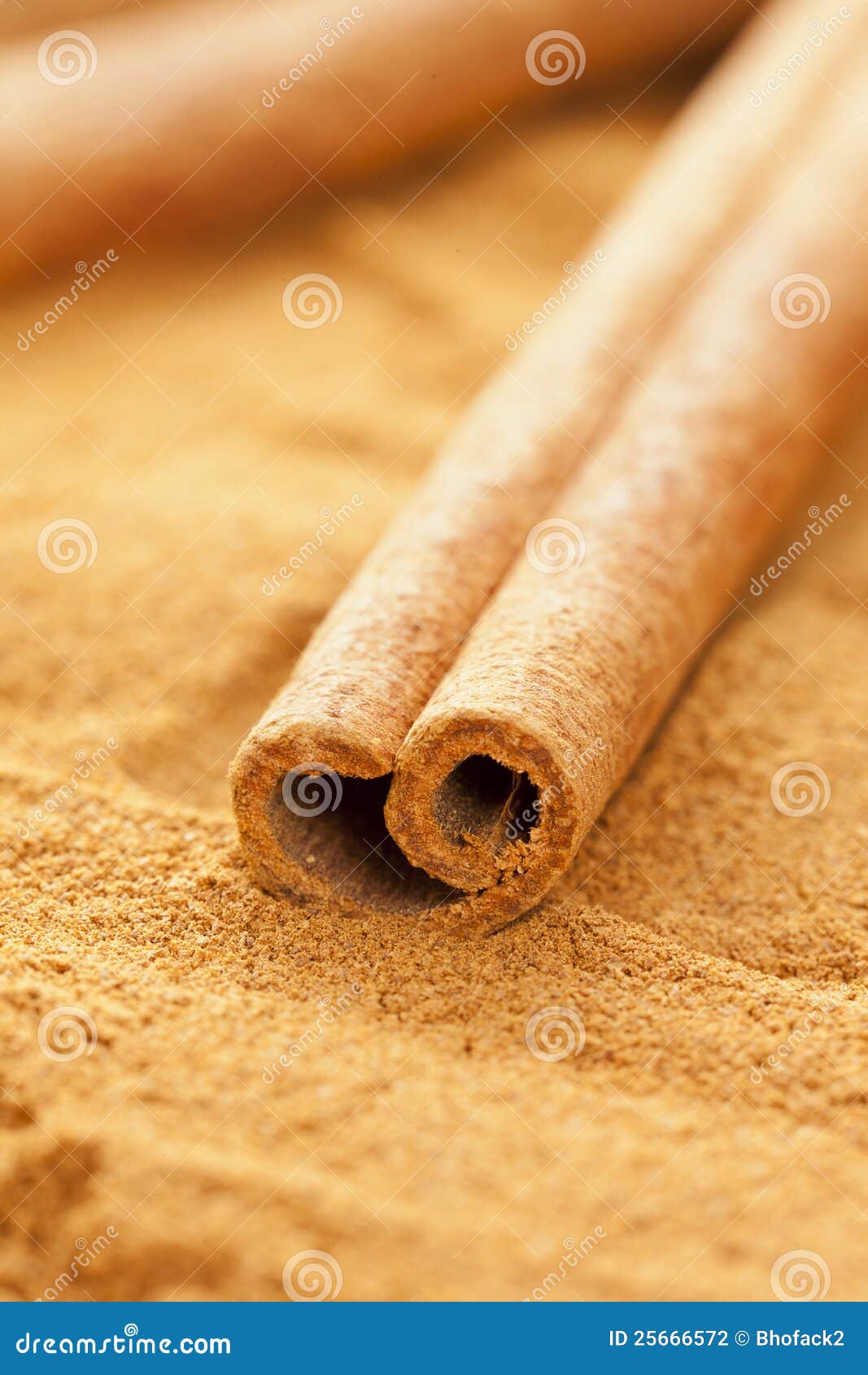 Fresh Organic Cinnamon stock photo. Image of pile, cinamon - 25666572