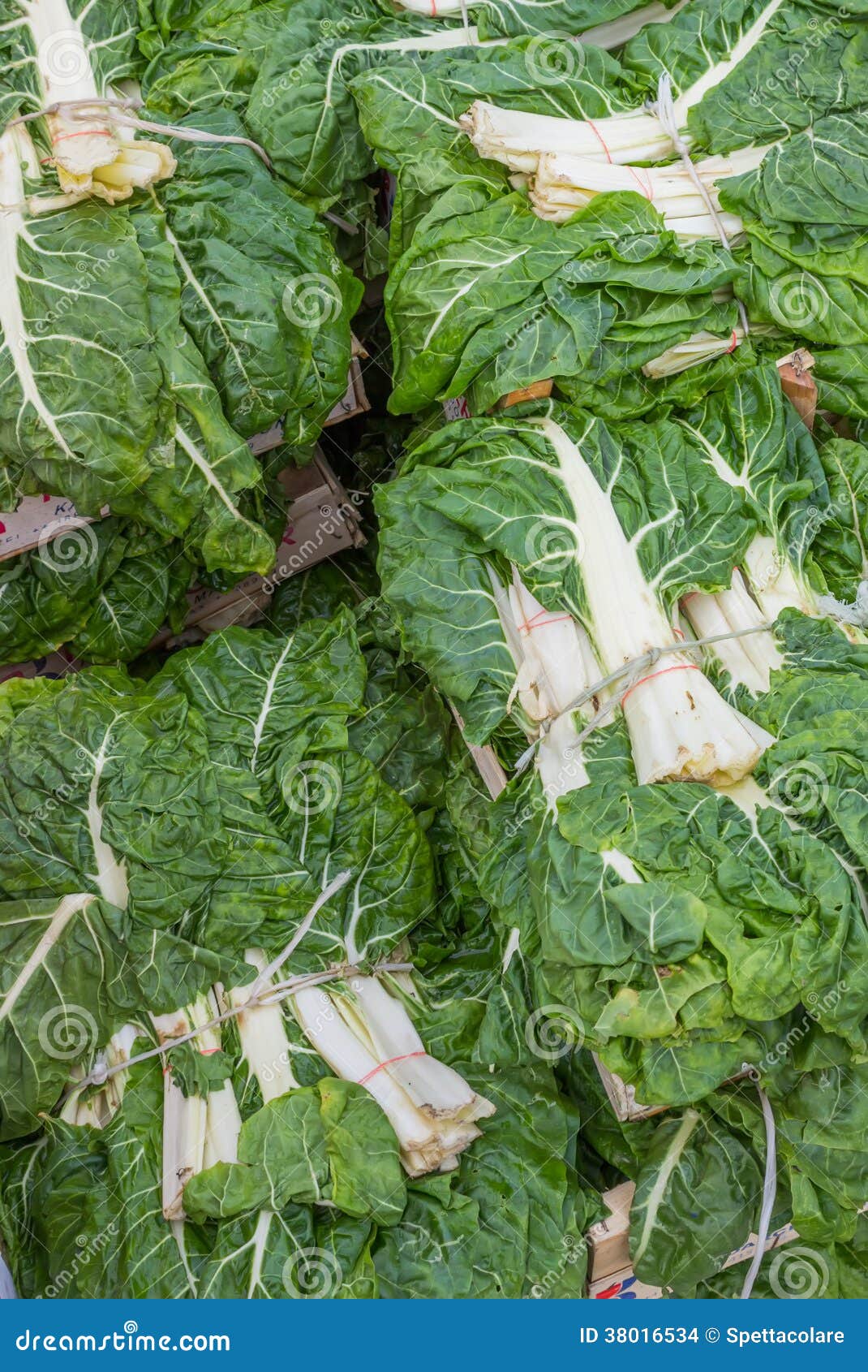 Fresh Organic Collard Greens Stock Photo - Image of food, drink: 38016534