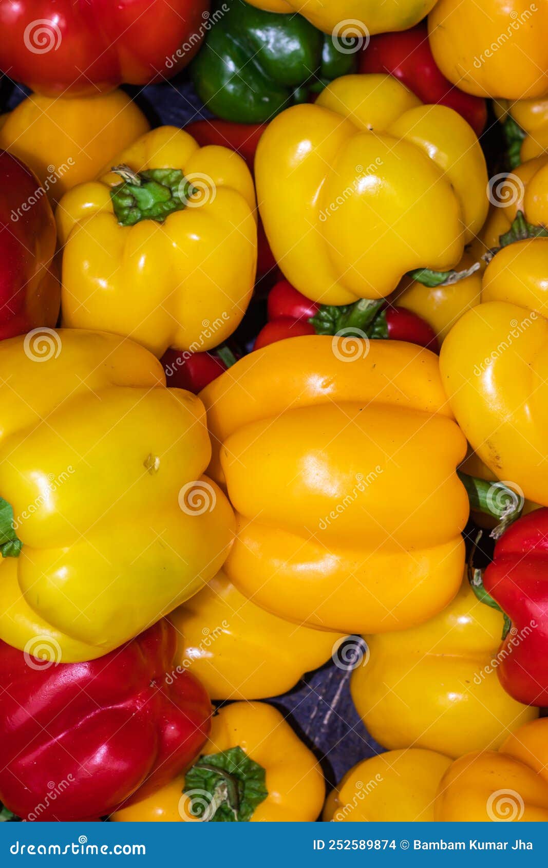 Fresh Organic Colorful Capsicum from Farm Close Up from Different Angle ...