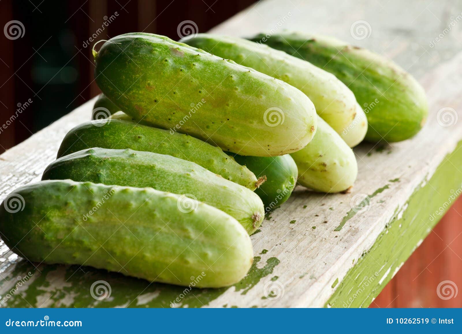 Fresh organic cucumbers stock image. Image of healthy - 10262519
