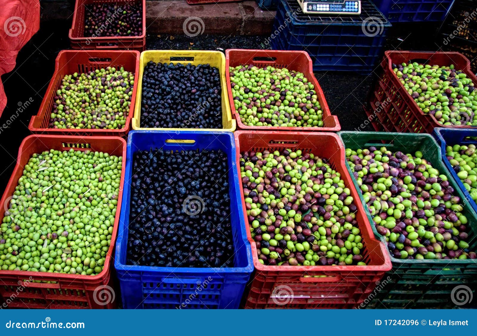 Fresh Organic Different Types of Olives Stock Photo - Image of carsamba ...