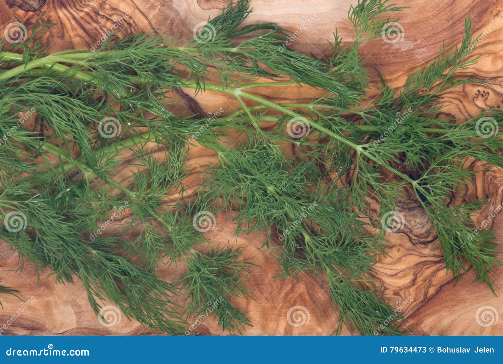 Fresh organic dill stock image. Image of kitchen, natural - 79634473