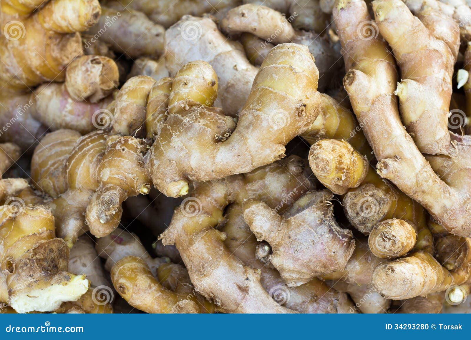 Fresh Organic Ginger stock photo. Image of seasoning - 34293280