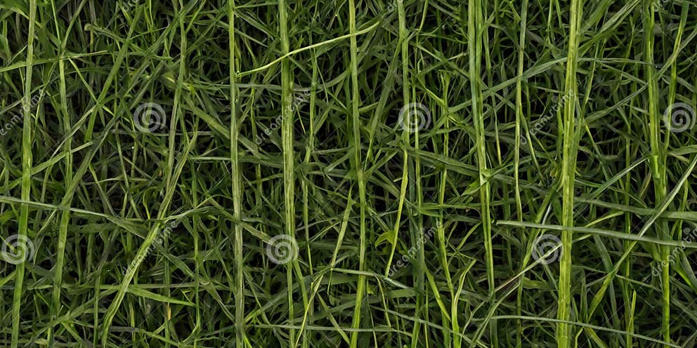 Fresh Organic Green Abstract Line Texture Stock Image - Image of green ...