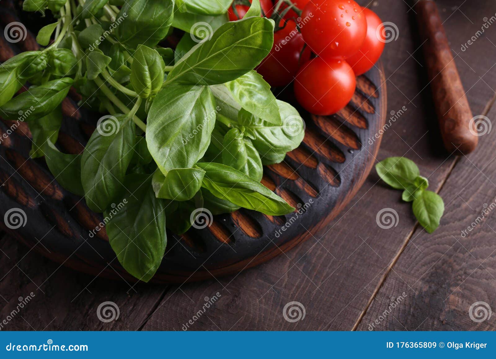 Fresh organic green basil stock image. Image of plant - 176365809