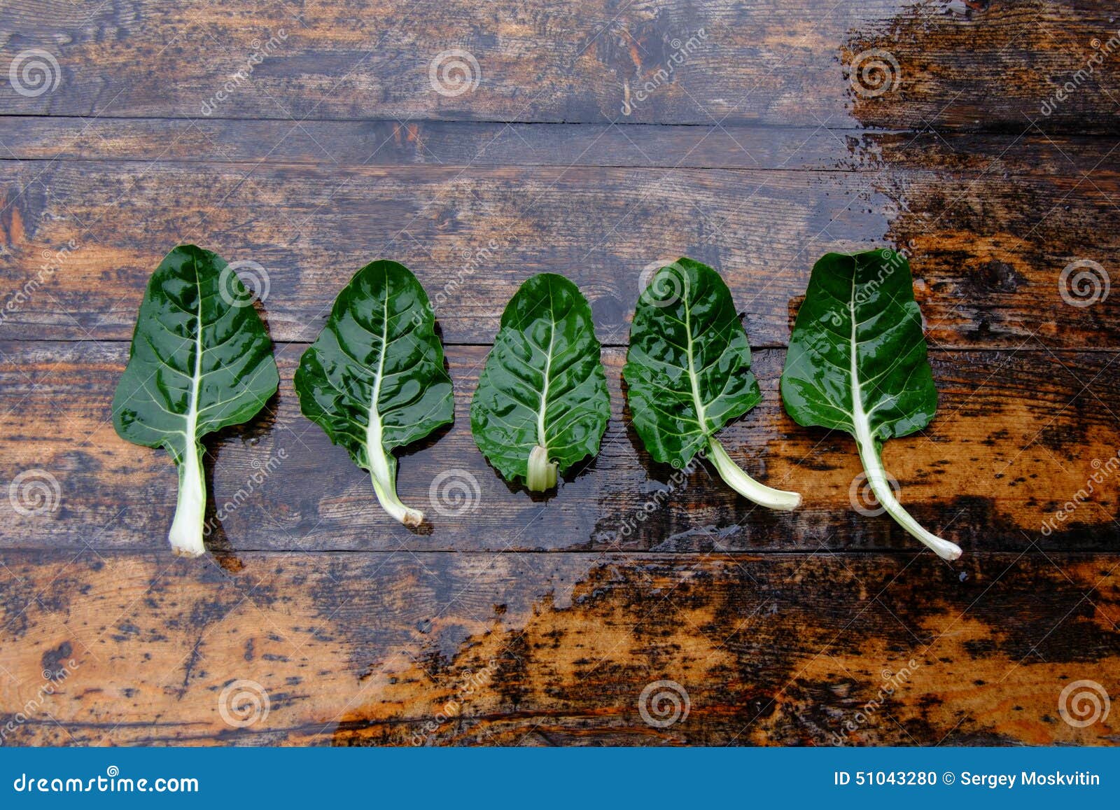 Fresh Organic Green Chard stock photo. Image of natural - 51043280