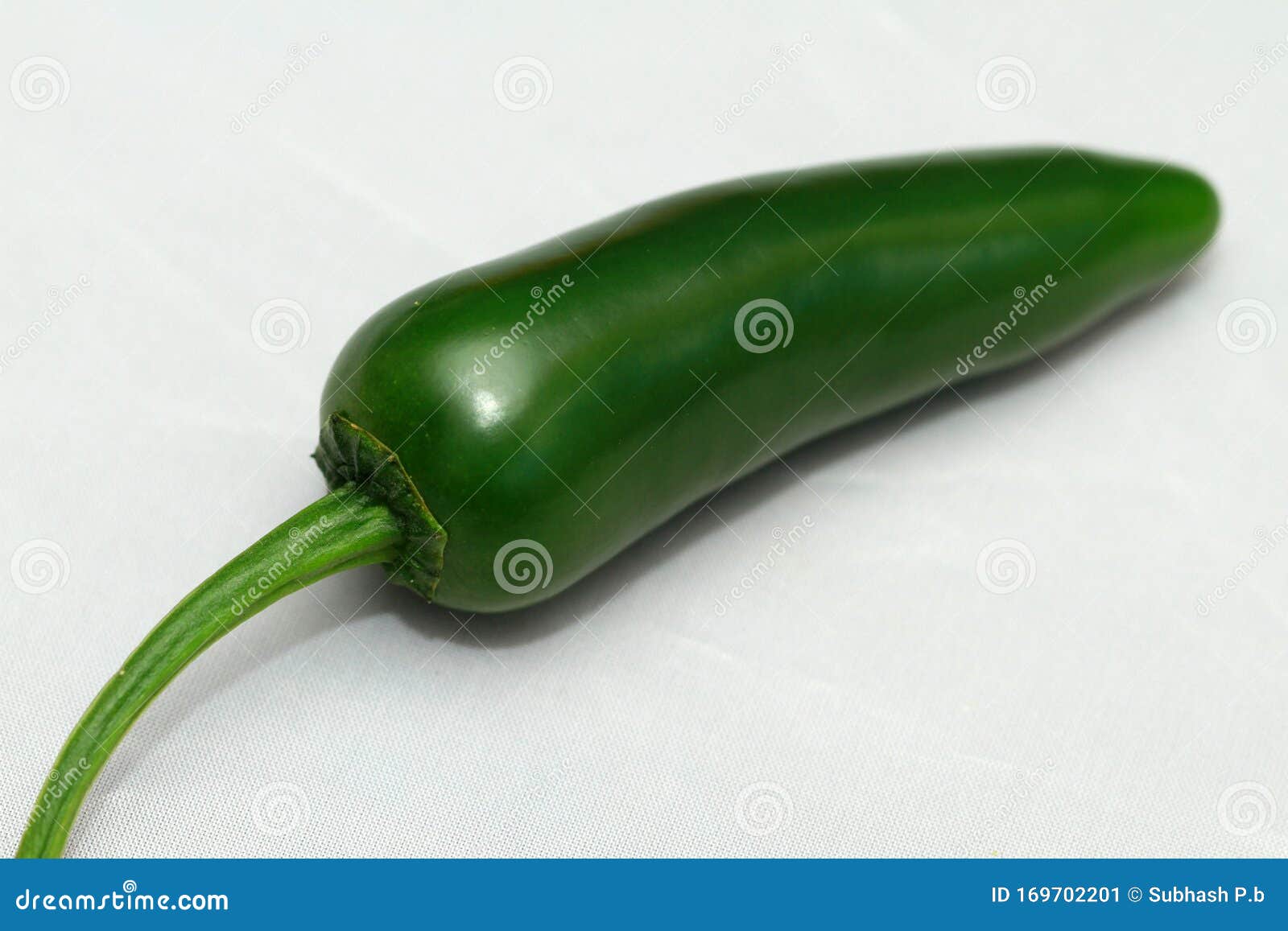Fresh Green Chilli Single in a White Background Stock Image - Image of ...