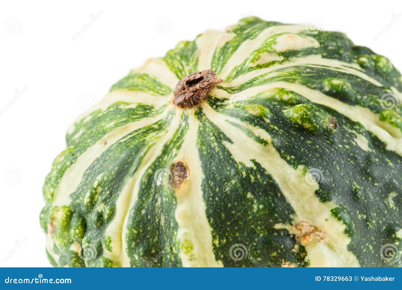 Fresh Organic Green Decorative Pumpkin Stock Image - Image of harvest ...