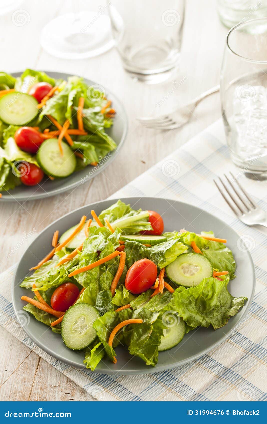 Fresh Organic Green Salad stock photo. Image of freshness - 31994676
