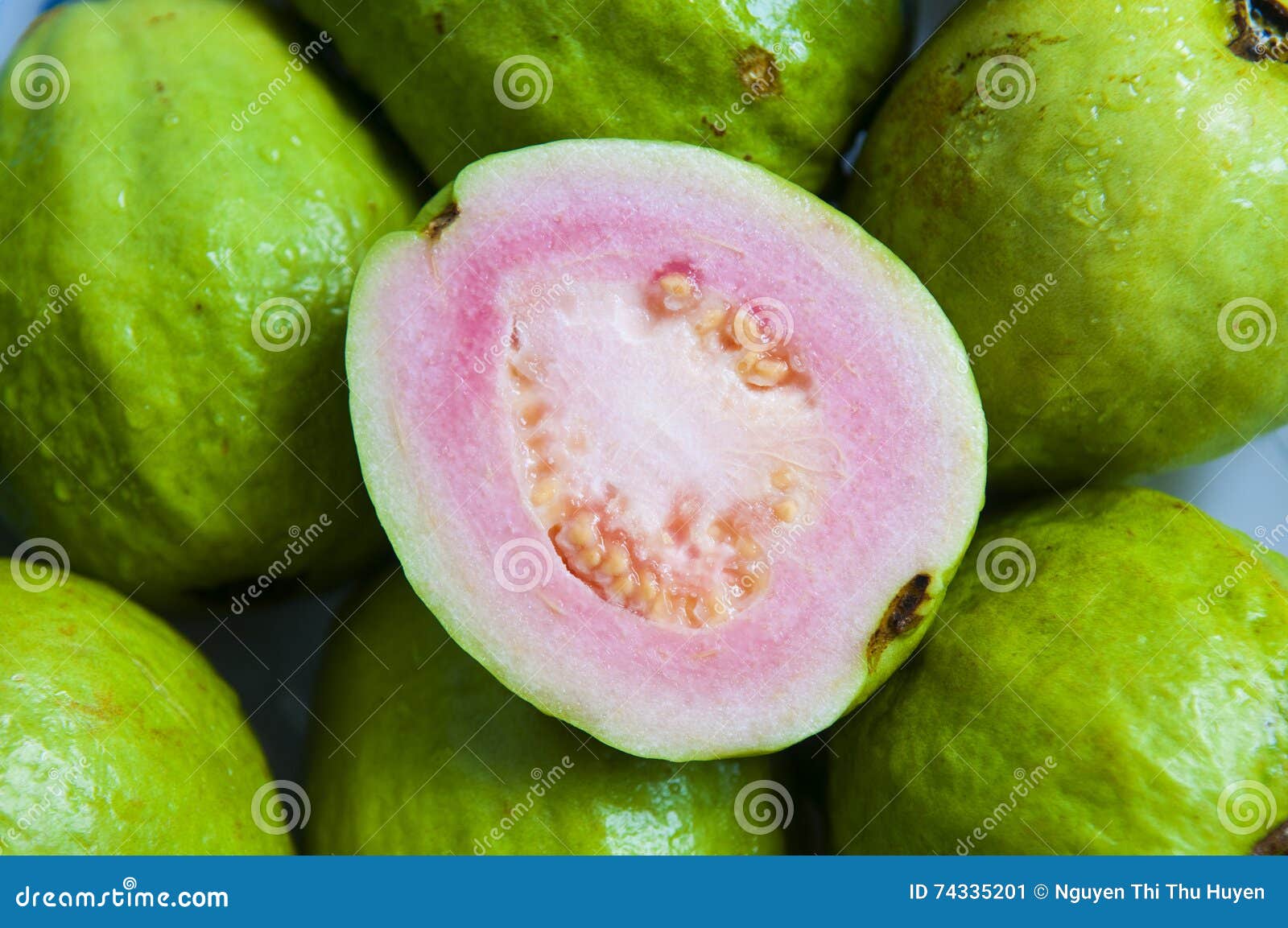 Fresh organic guava fruit stock image. Image of abstract - 74335201