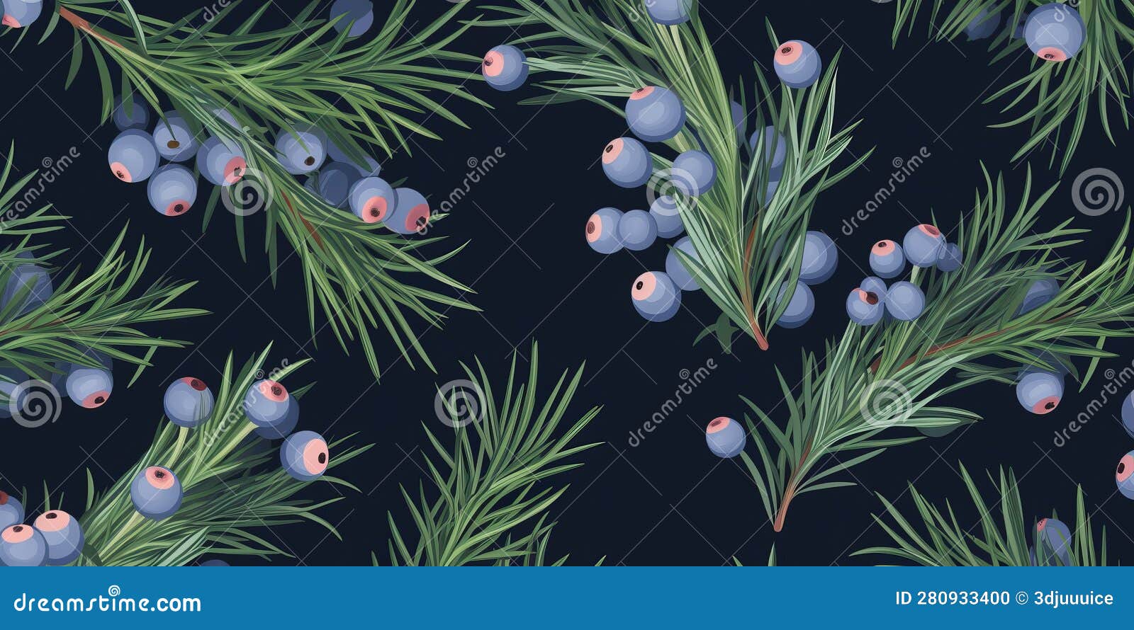 Fresh Organic Juniper Berry Horizontal Background Illustration. Stock ...