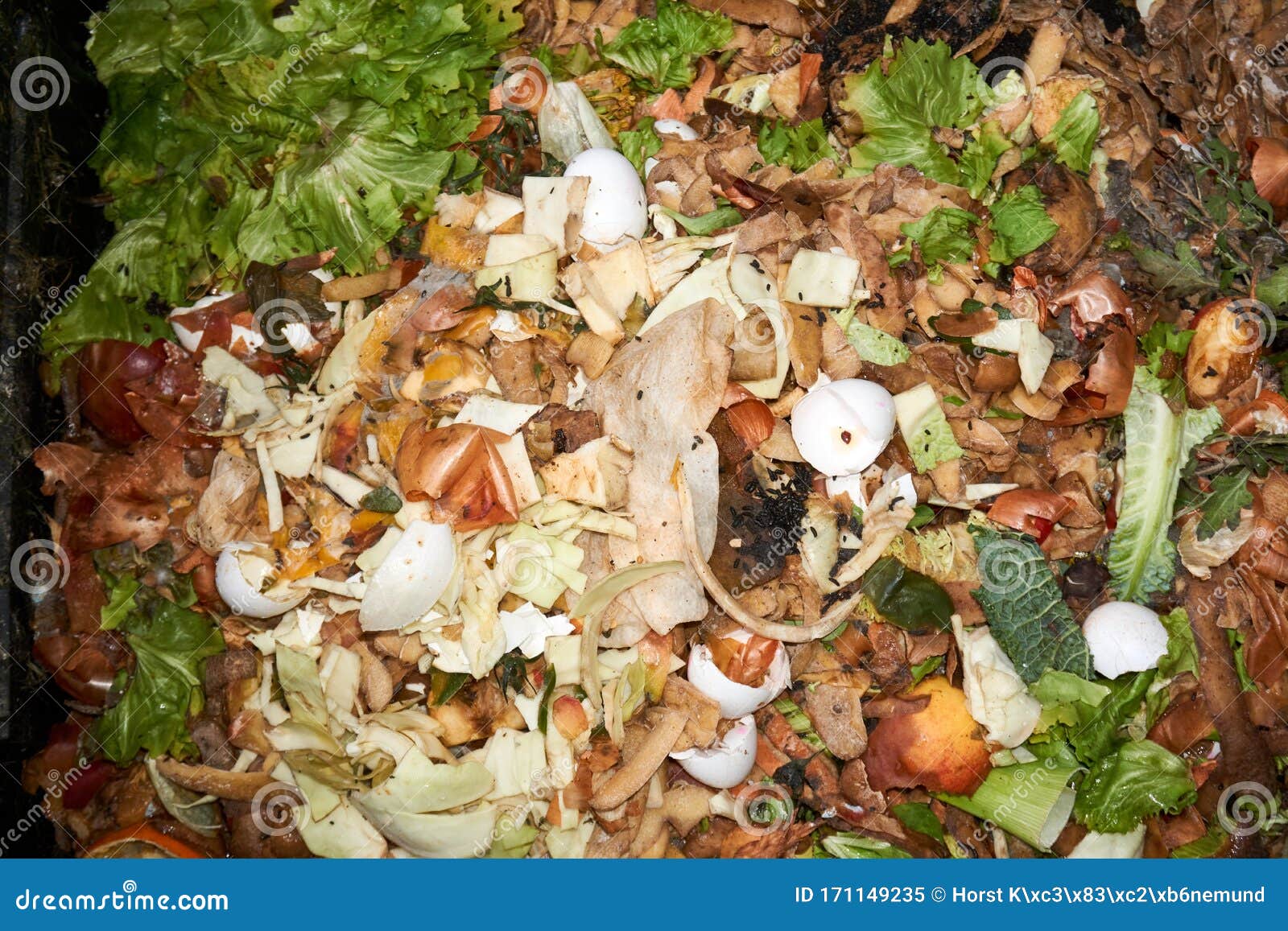 Fresh, Organic, Kitchen Waste, Household Scrap in the Compost Bin Stock ...