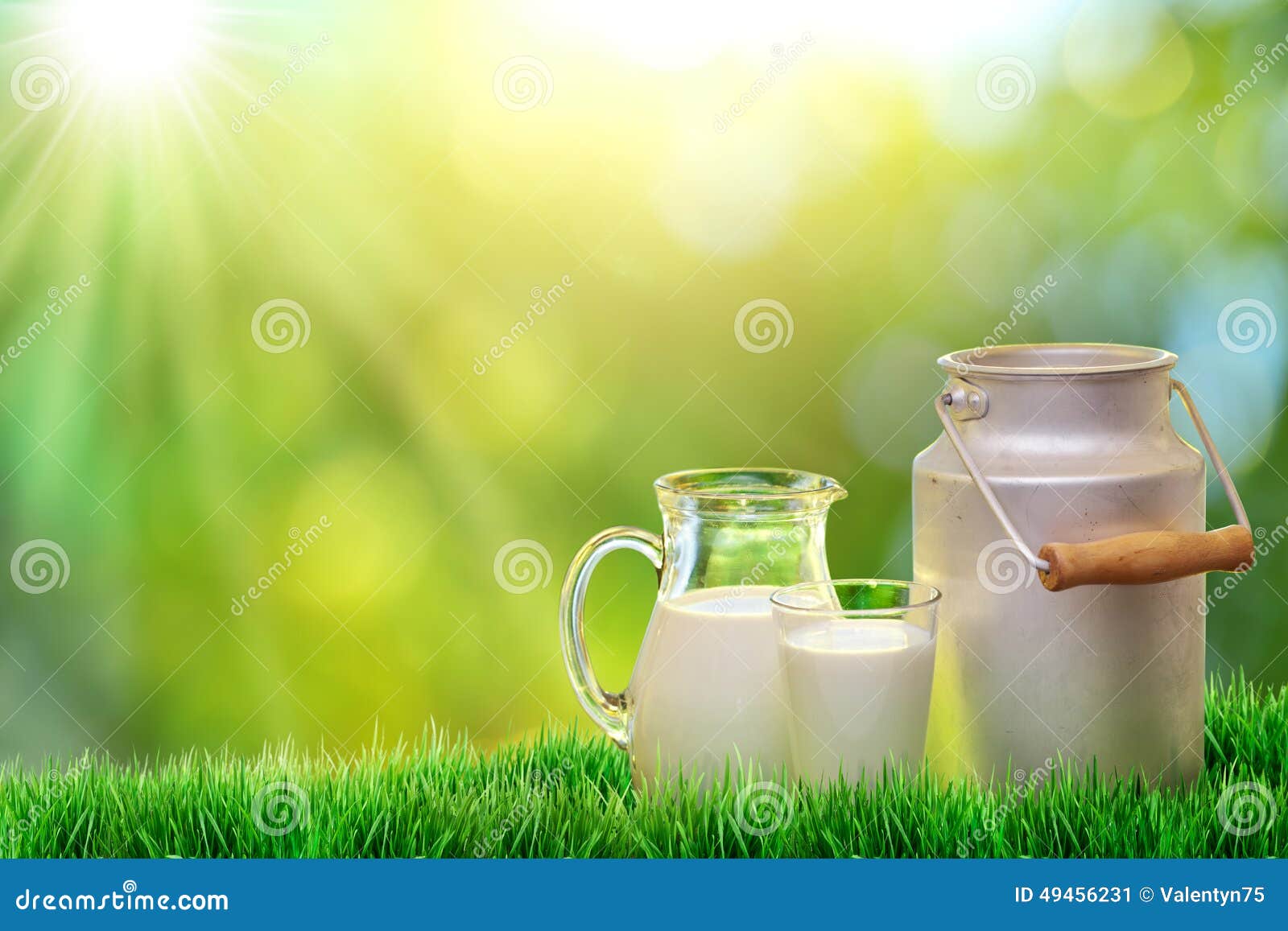 Fresh organic milk. stock image. Image of outdoors, organic - 49456231