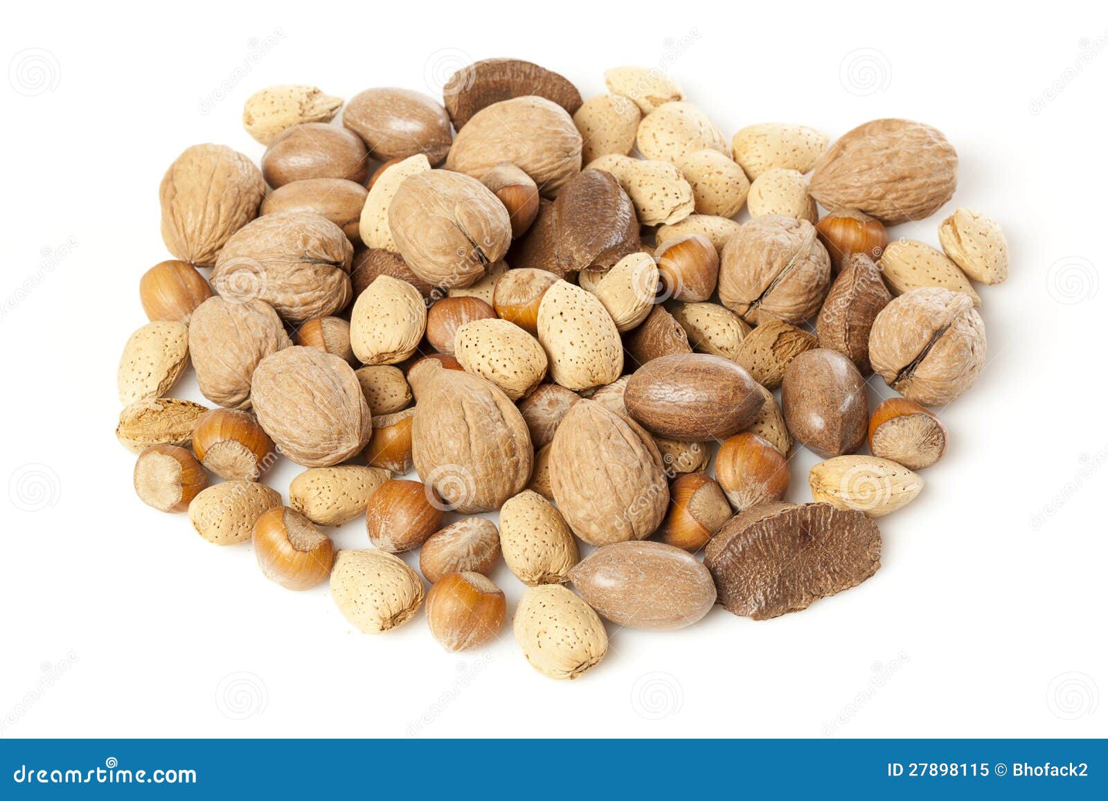 Fresh Organic Mixed Nuts stock image. Image of hazelnut - 27898115