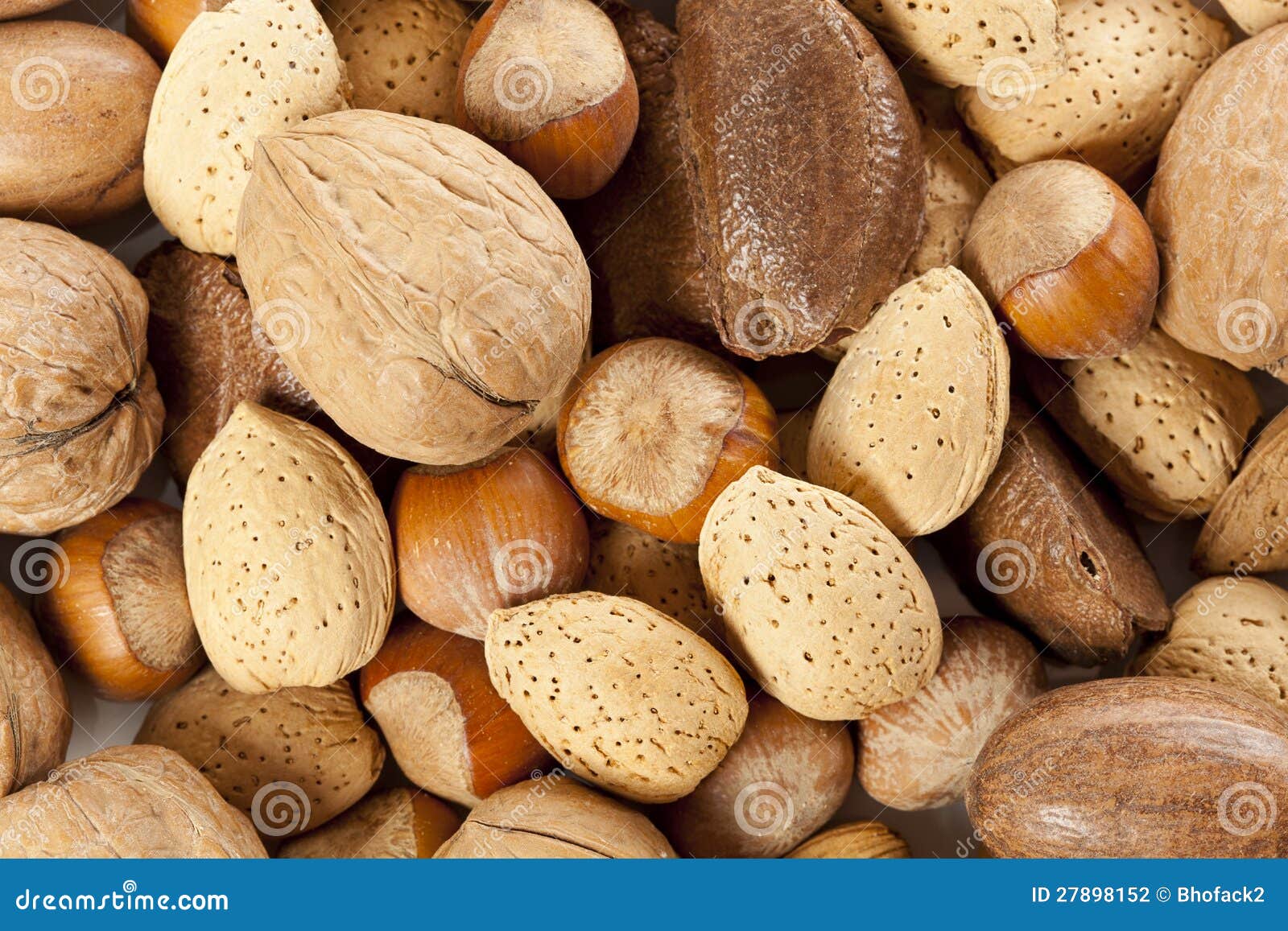 Fresh Organic Mixed Nuts stock photo. Image of assortment - 27898152
